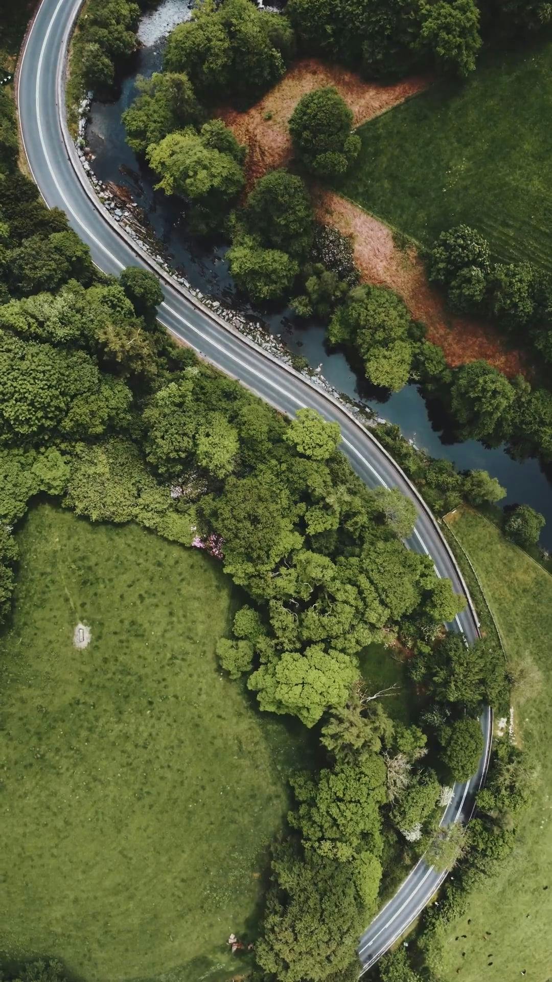 Drone Footage of a Road and Trees Free Stock Video Footage, Royalty ...