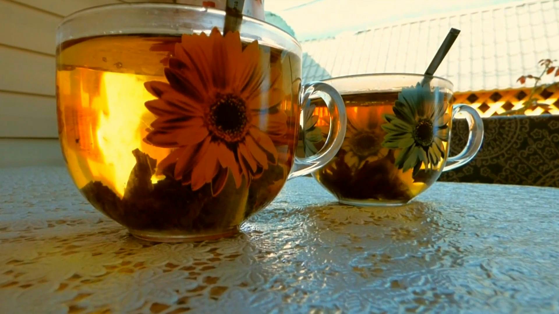 Cup Of Tea Free Stock Video Footage, Royalty-Free 4K & HD Video Clip