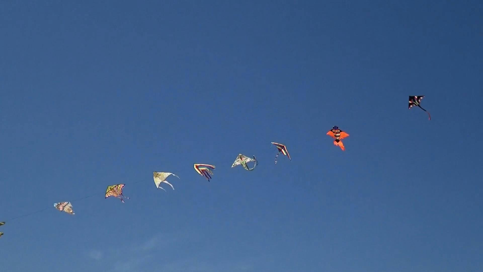 Kite Videos, Download The BEST Free 4k Stock Video Footage & Kite HD ...