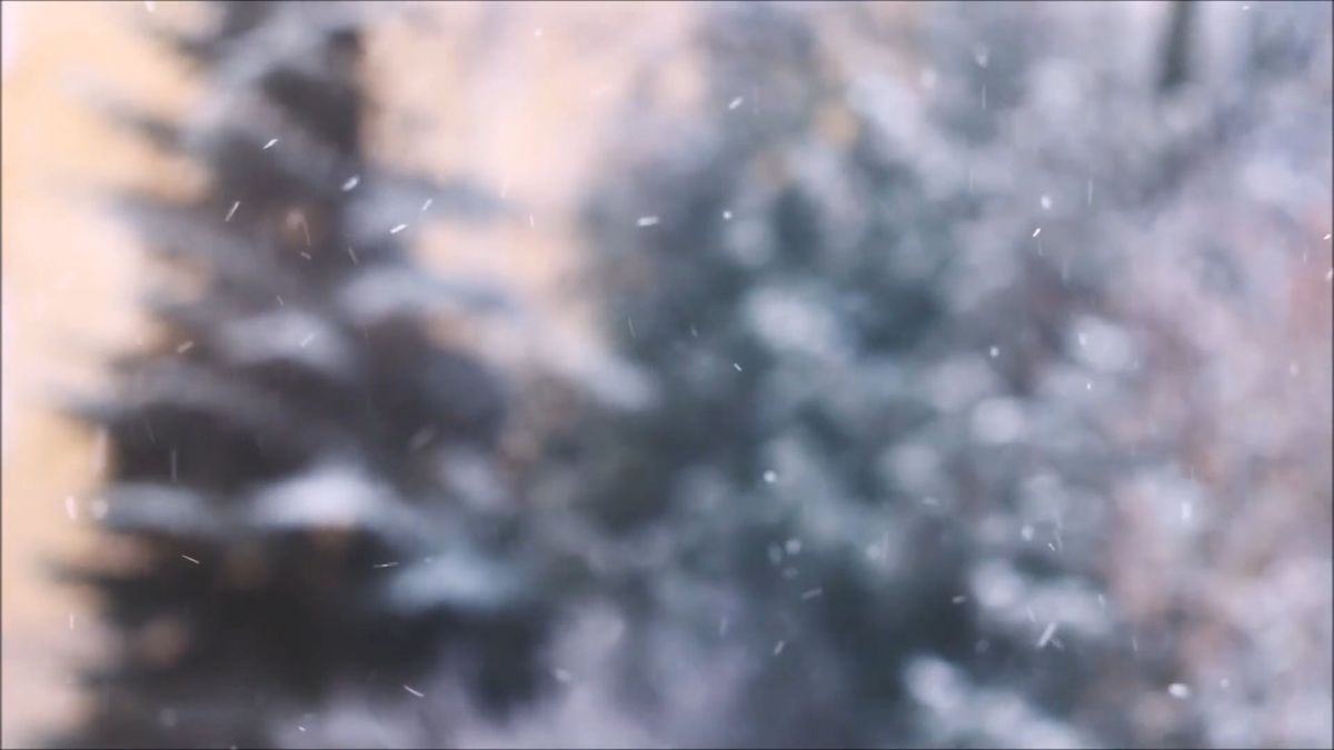 Edit