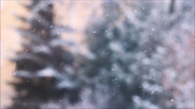 7,011+ Best Free Snow 4K Stock Video Footage & Royalty-Free HD Video Clips