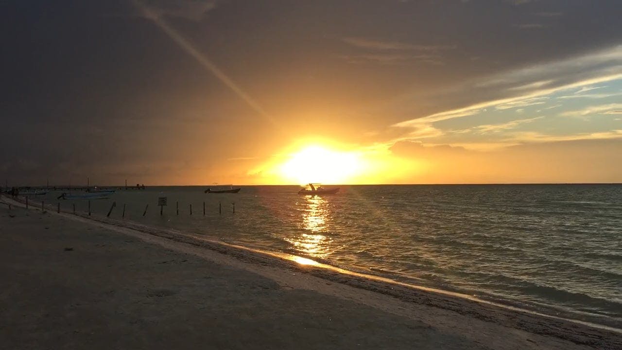 Video At a Beach Free Stock Video Footage, Royalty-Free 4K & HD Video Clip