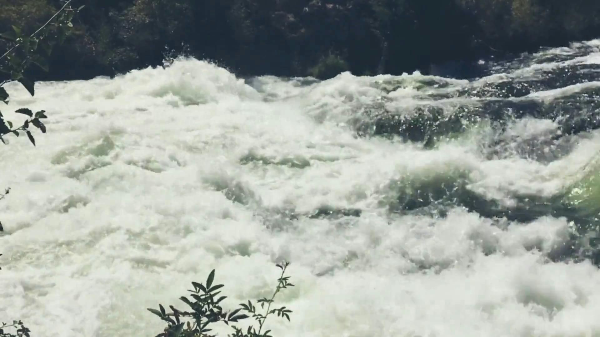 A Rapid Stream Footage · Free Stock Video