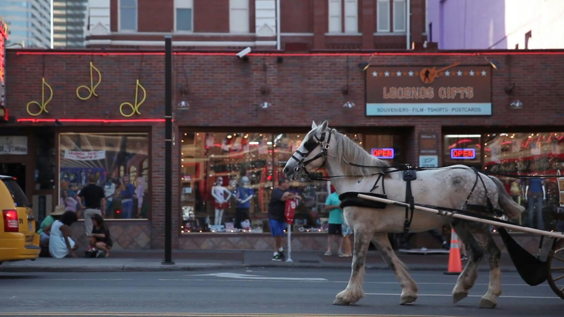 Horse Carriage Videos, Download The BEST Free 4k Stock Video Footage ...