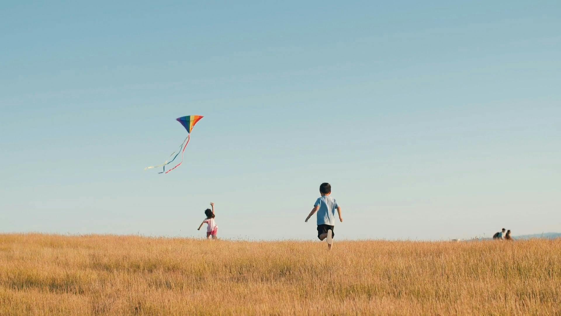 Kids Playing Kite in an Open Field · Free Stock Video