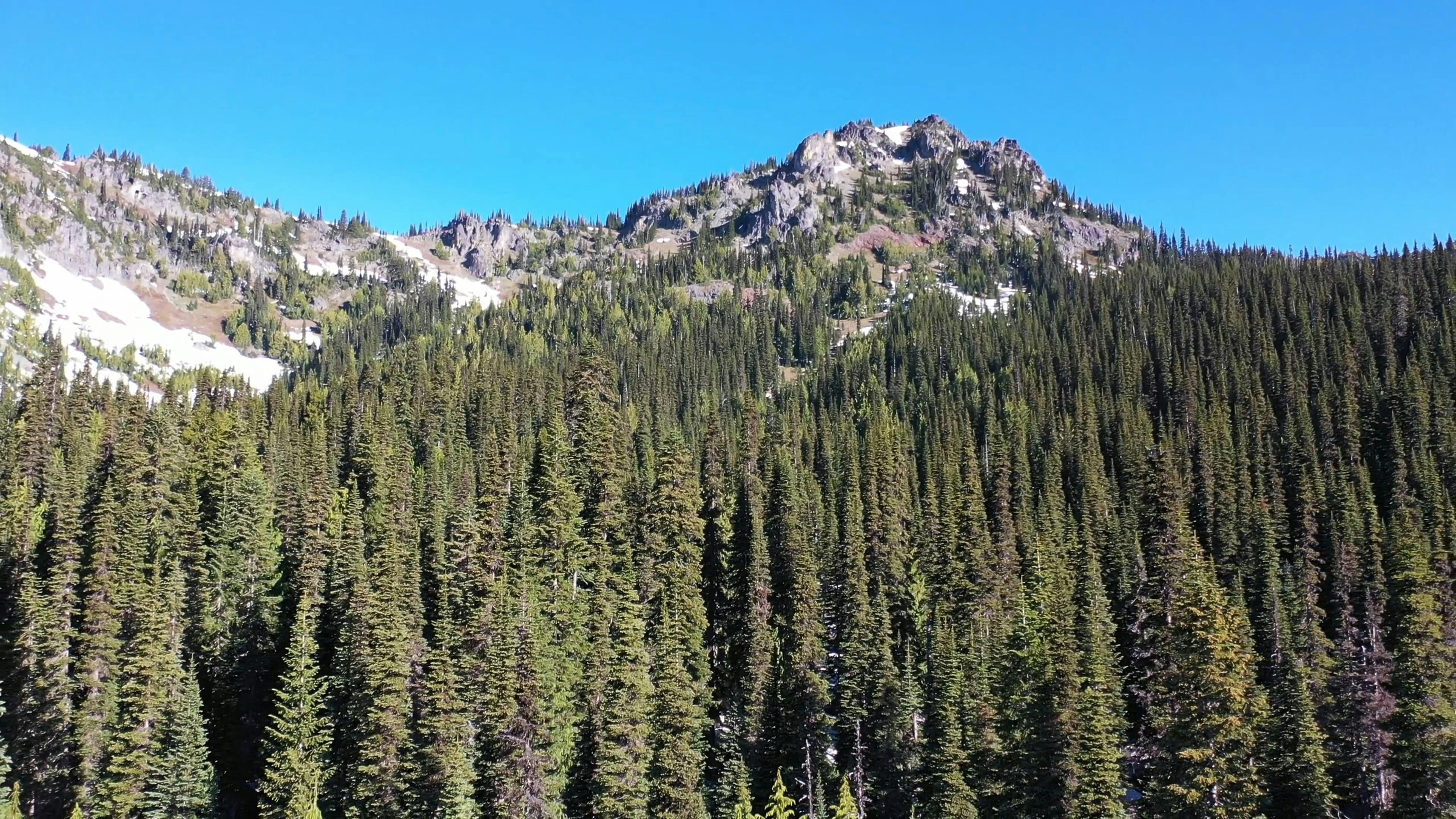 Drone Footage of a Forest with Waterfalls Free Stock Video Footage ...