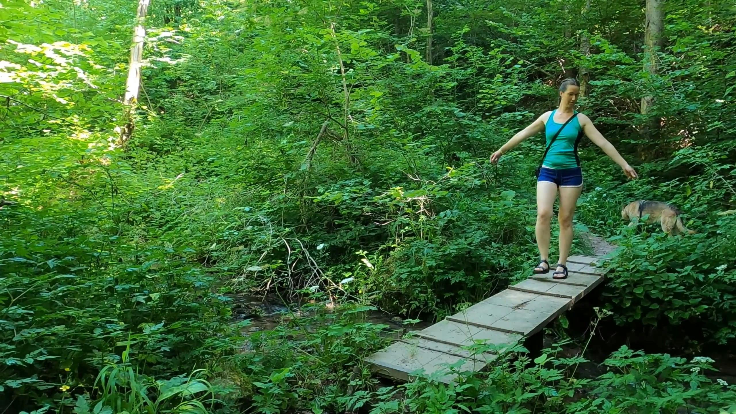 An Elderly Couple Inside A Forest Waving At Something Above Free Stock ...