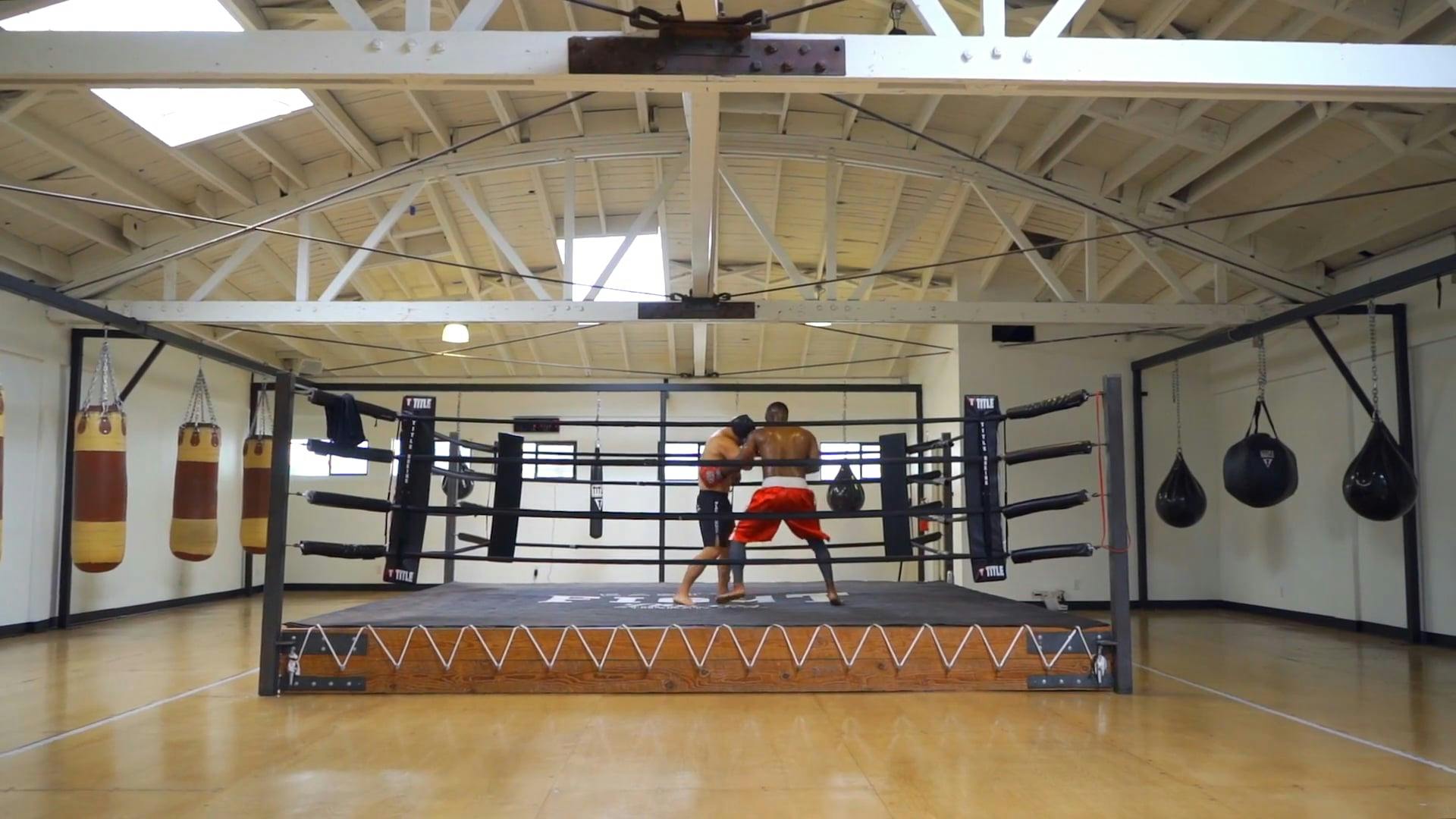 Boxing Agility Videos, Download The BEST Free 4k Stock Video Footage ...