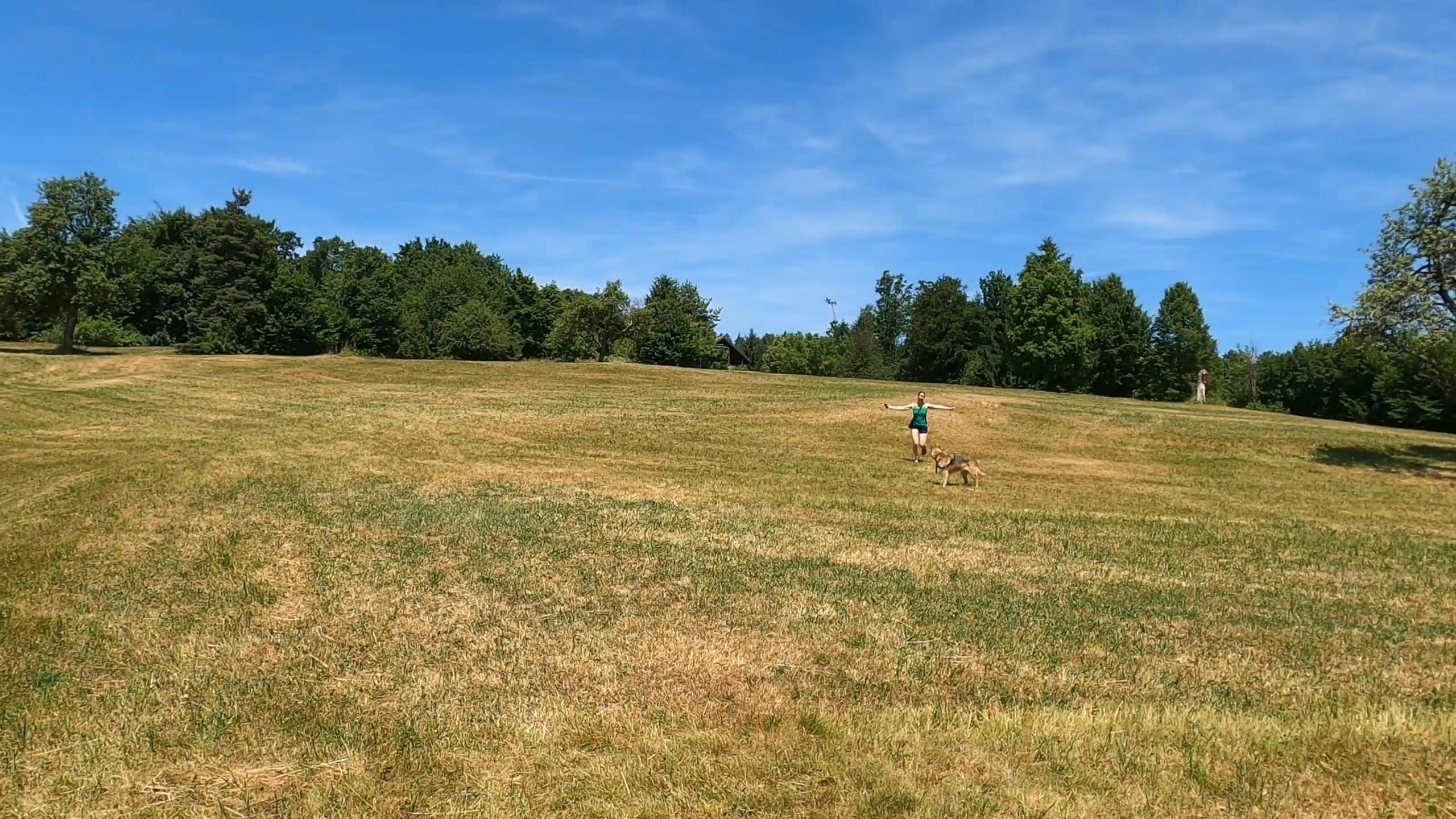Footage Of A Woman Running In The Field Full Of Flowers Free Stock ...