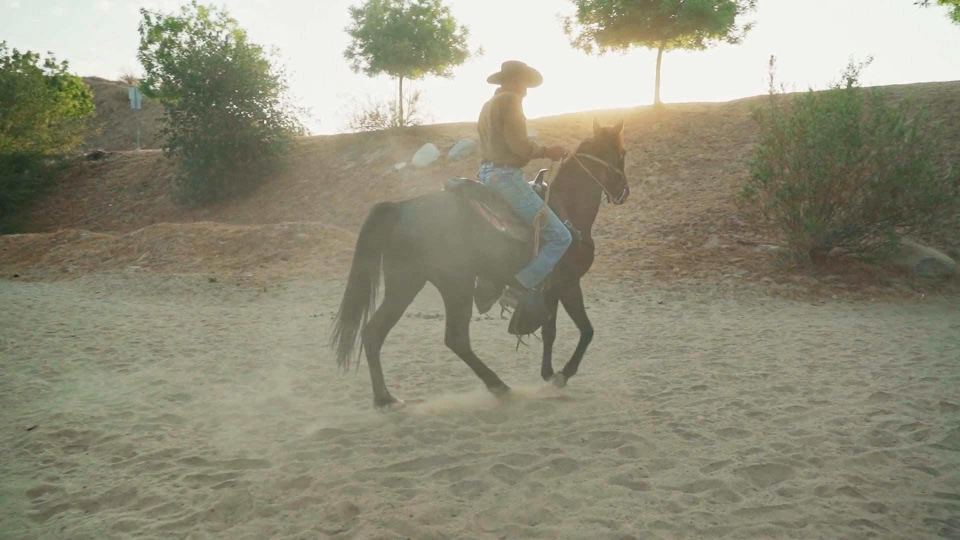 Wooded Path Videos, Download The BEST Free 4k Stock Video Footage ...