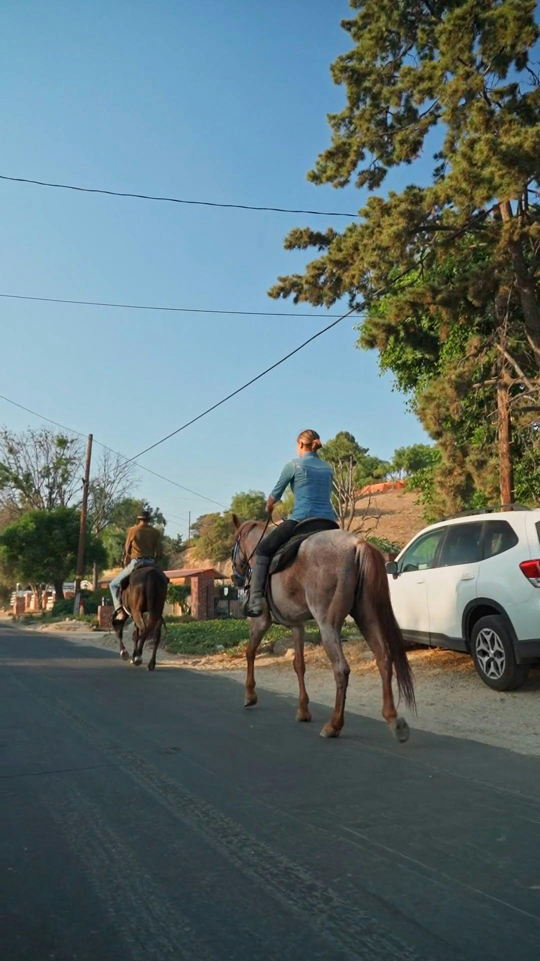 People Riding a Horse Free Stock Video Footage, Royalty-Free 4K & HD ...