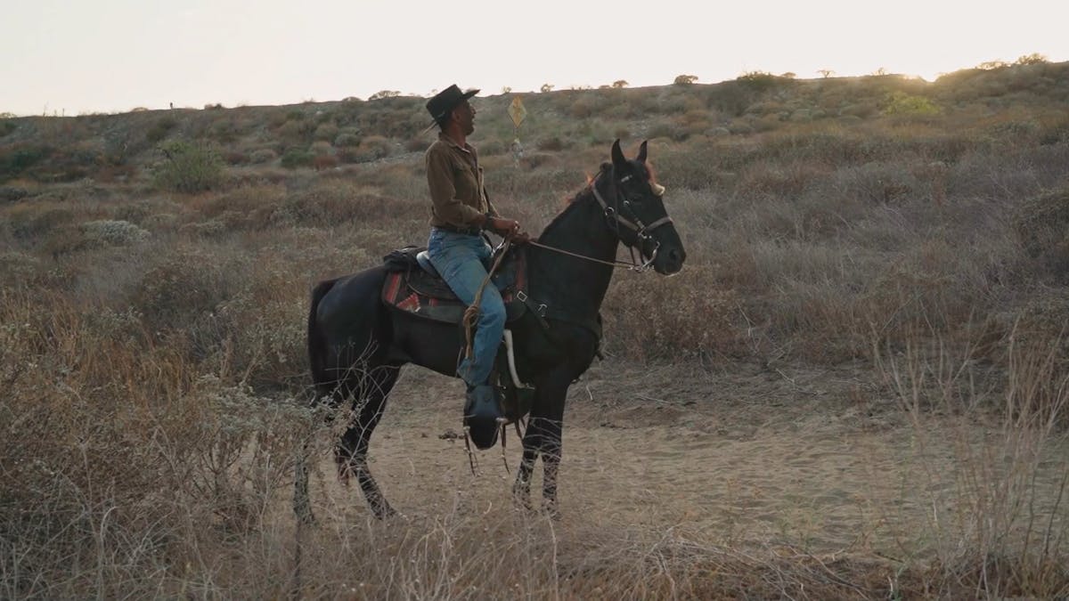 Black Cowboy Videos, Download The BEST Free 4k Stock Video Footage ...