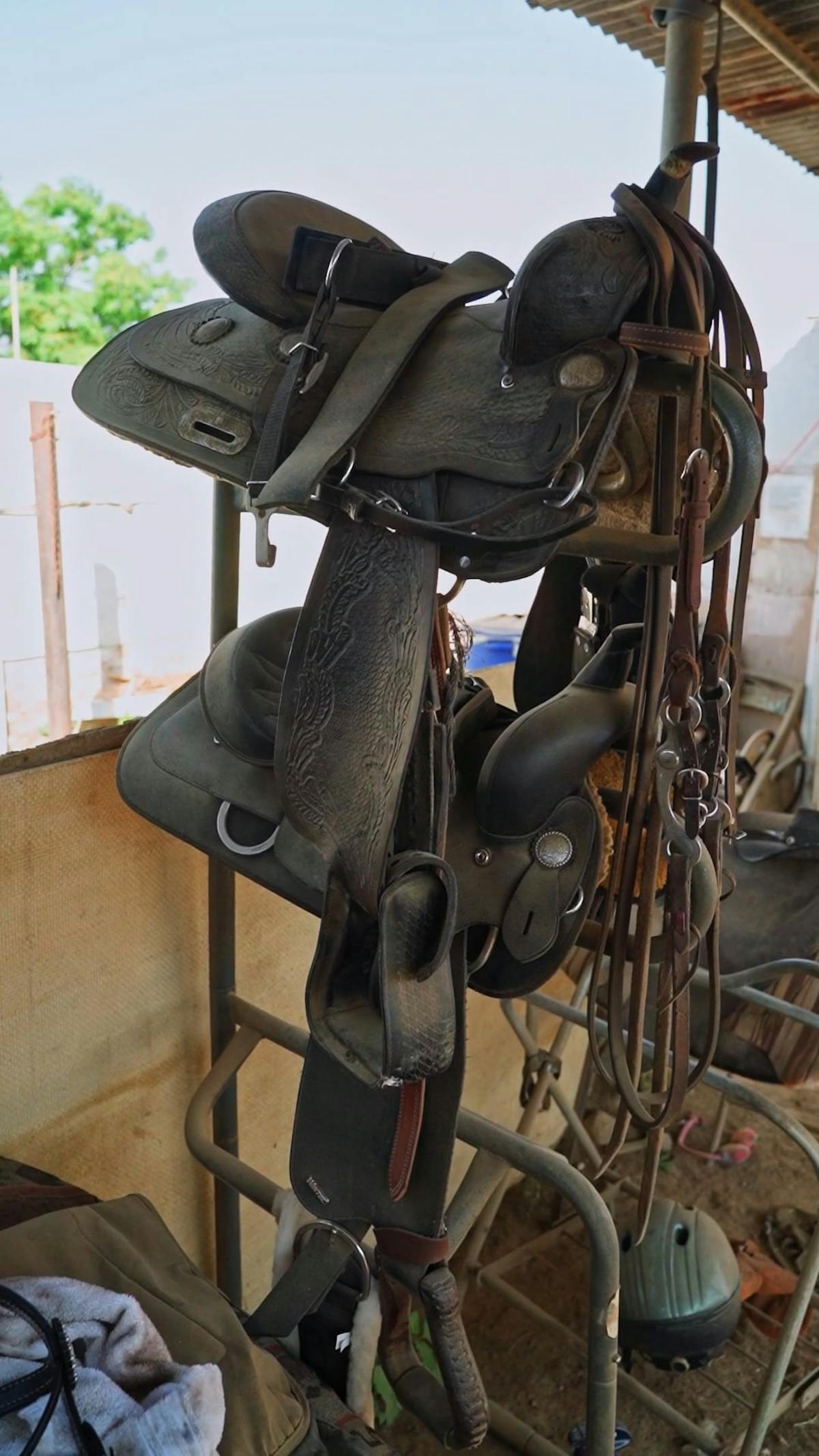 Cowboy Videos, Download The BEST Free 4k Stock Video Footage & Cowboy ...