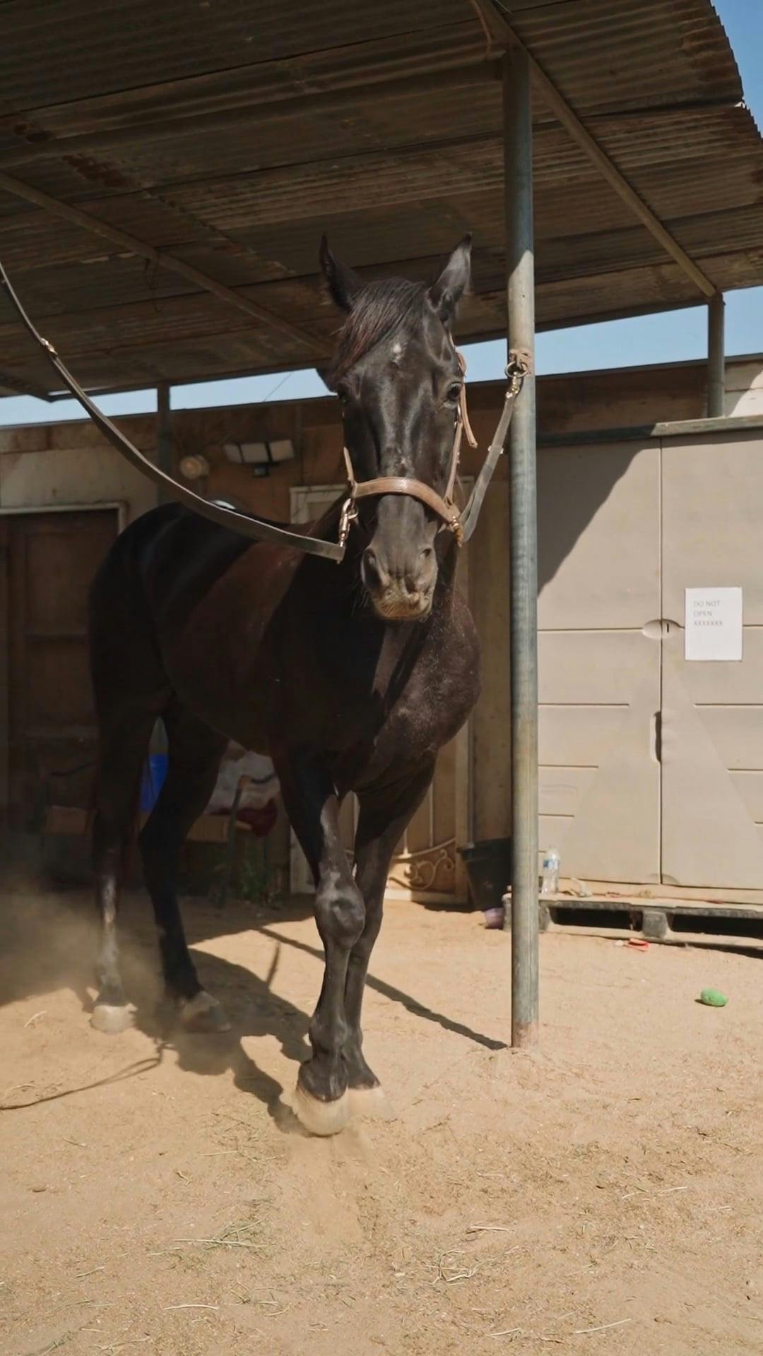 Black Tack Videos, Download The BEST Free 4k Stock Video Footage ...