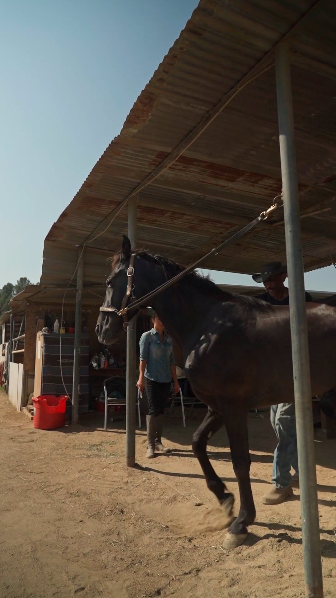 Ranch Hand Videos, Download The BEST Free 4k Stock Video Footage ...