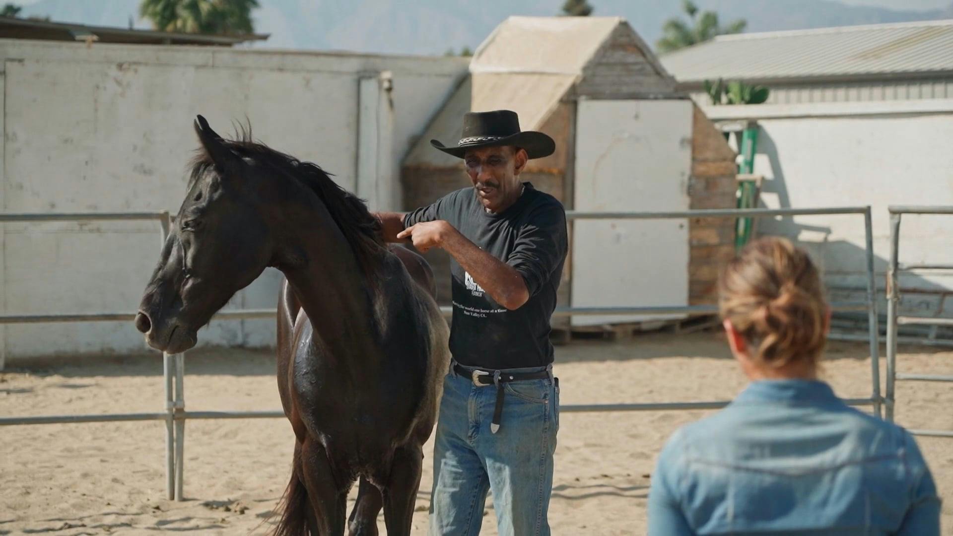 Black Cowboy Videos, Download The BEST Free 4k Stock Video Footage ...