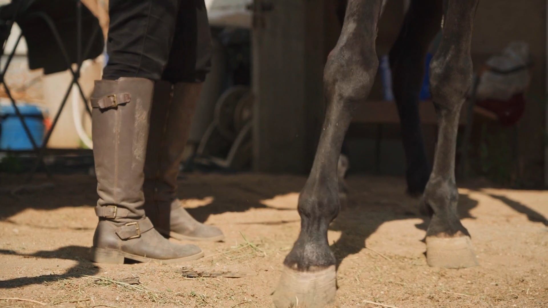Horse Feet Videos, Download The BEST Free 4k Stock Video Footage ...