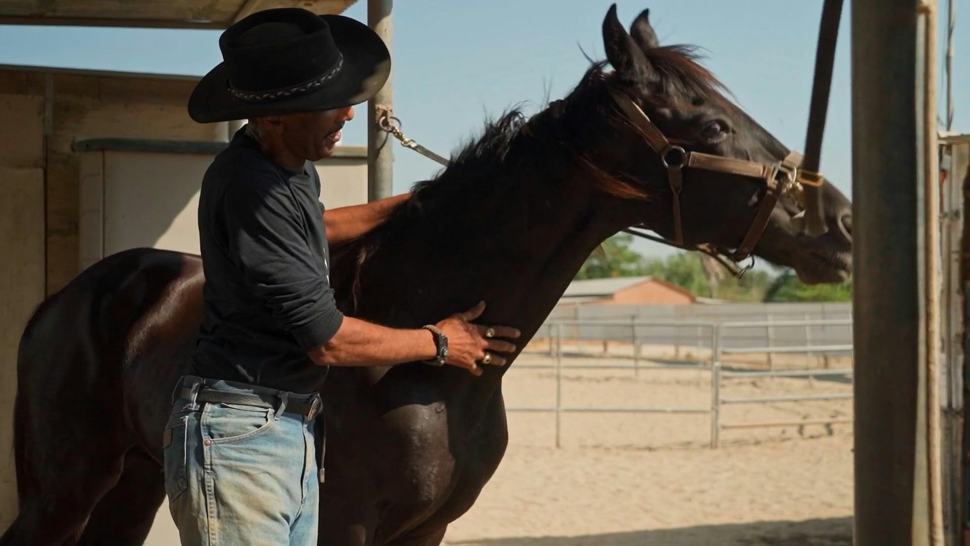 Cowboy Videos, Download The BEST Free 4k Stock Video Footage & Cowboy ...