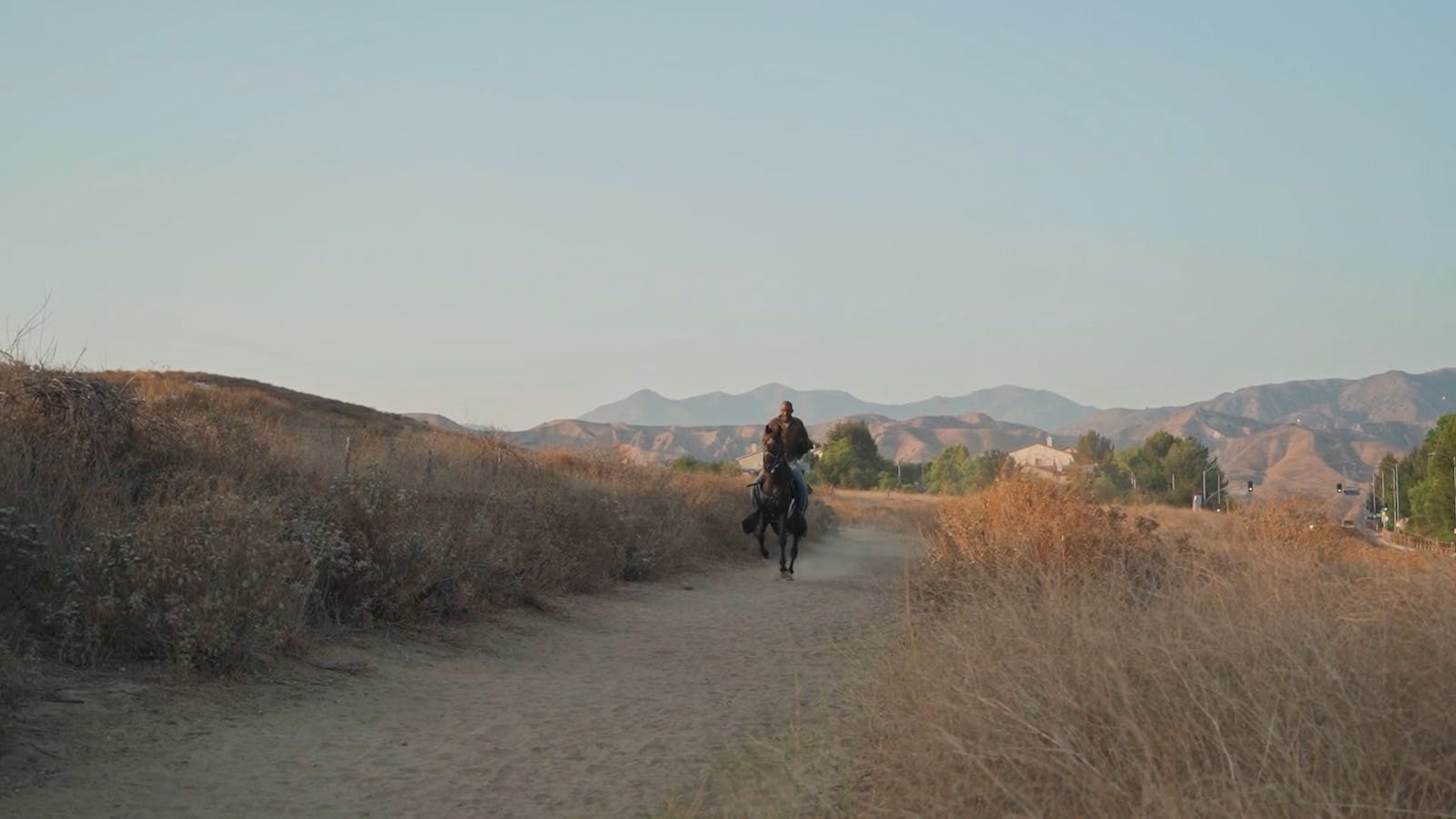 339+ Best Free Cowboy 4K Stock Video Footage & Royalty-Free HD Video Clips