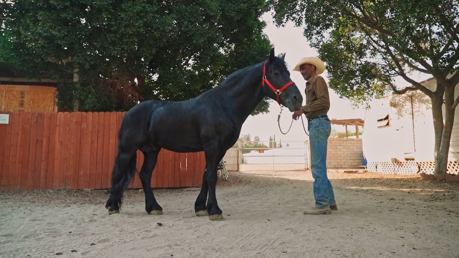 Cowboy Videos, Download The BEST Free 4k Stock Video Footage & Cowboy ...