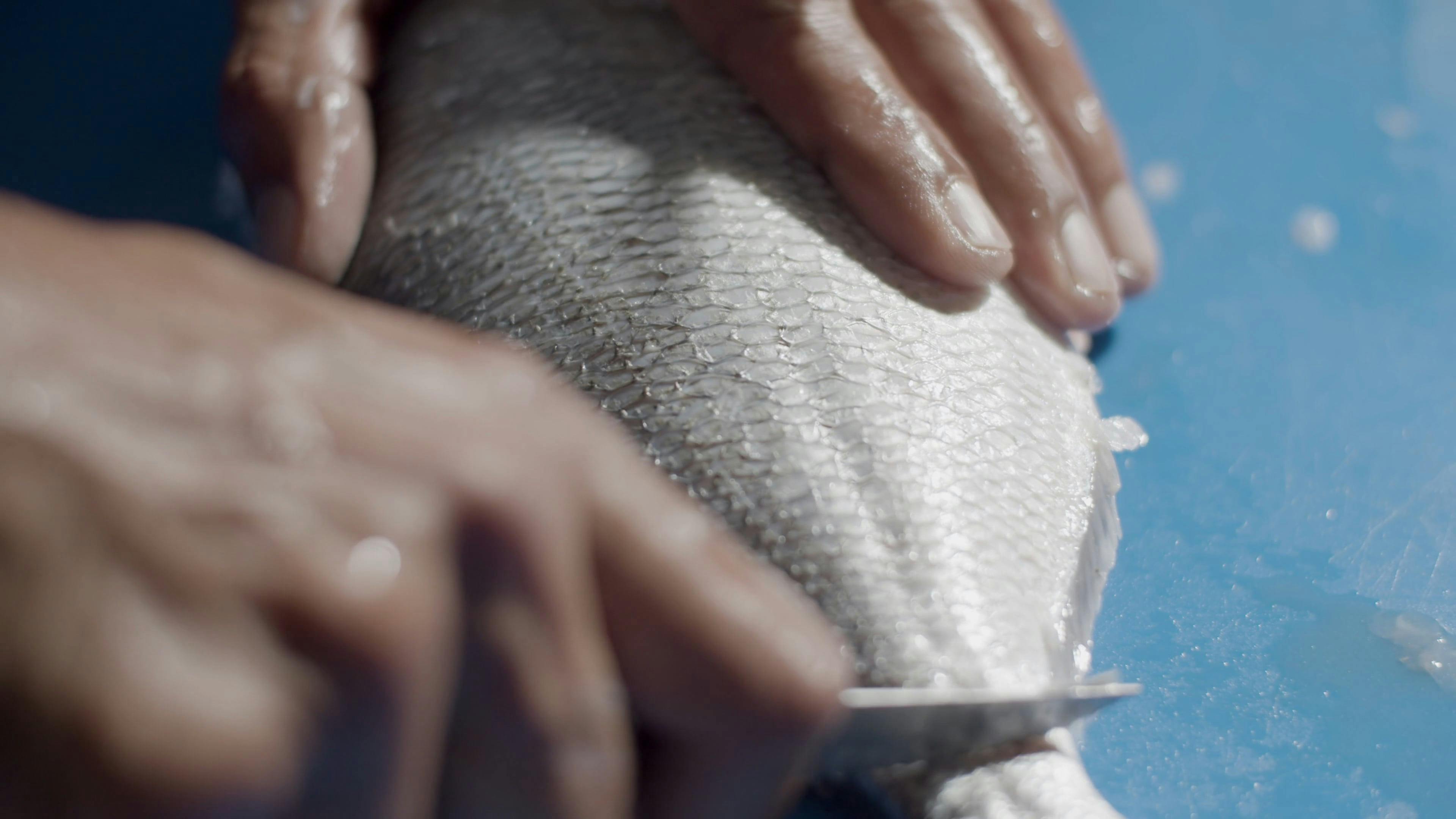 A Person Removing Fish Scales Free Stock Video Footage, Royalty-Free 4K ...