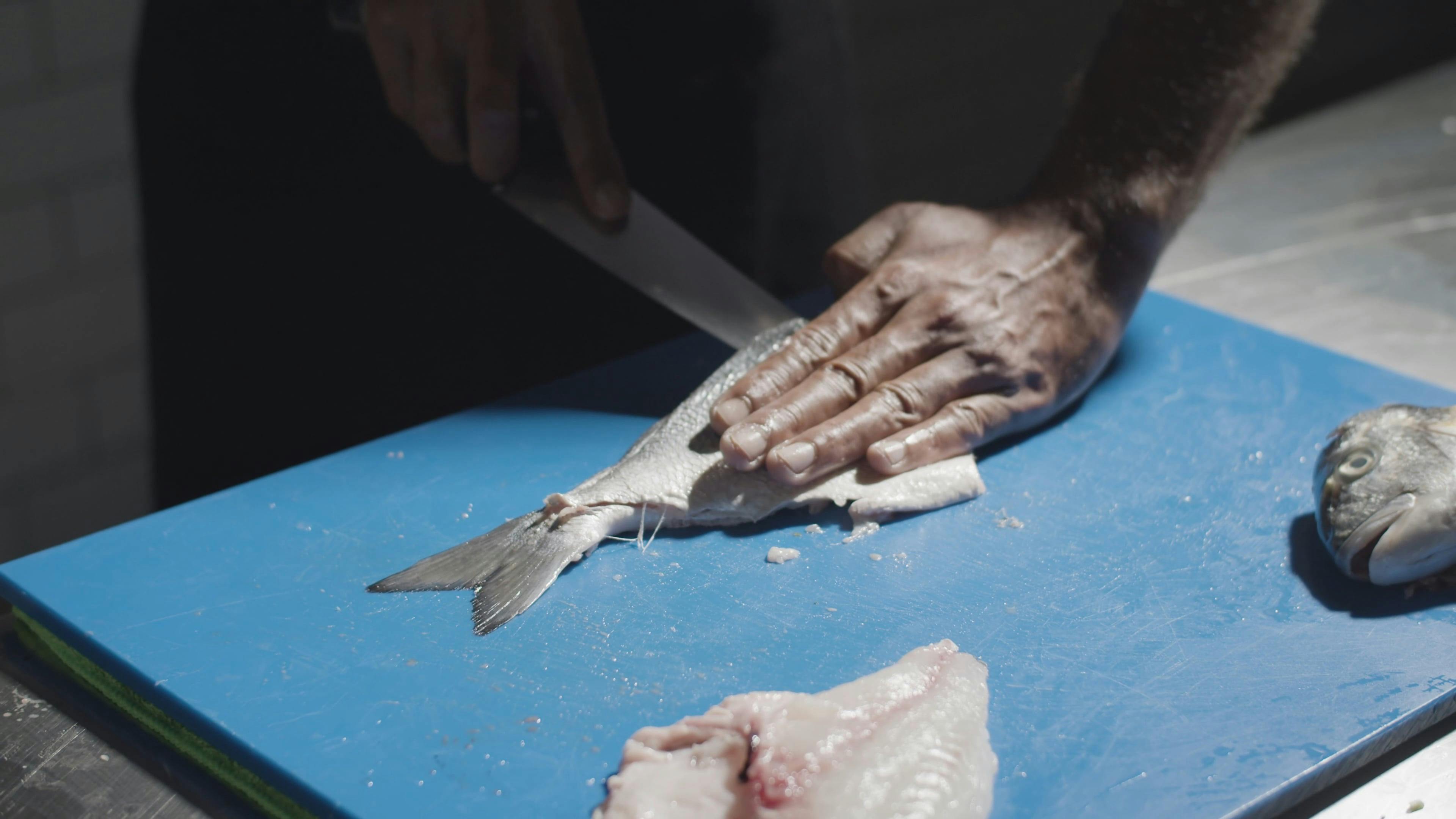 A Person Deboning a Fish Free Stock Video Footage, Royalty-Free 4K & HD ...