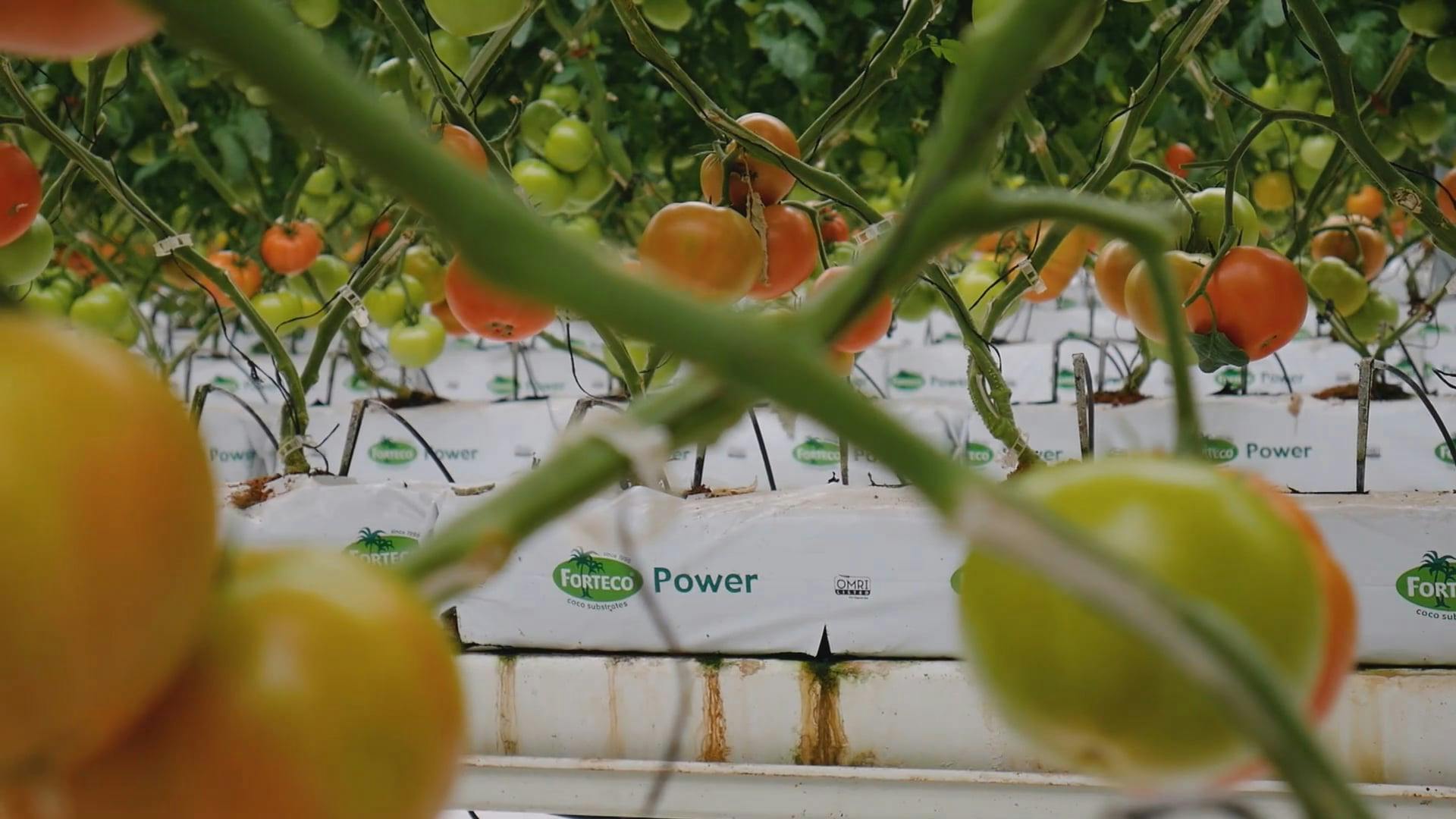 Cultivation Method Videos, Download The BEST Free 4k Stock Video ...