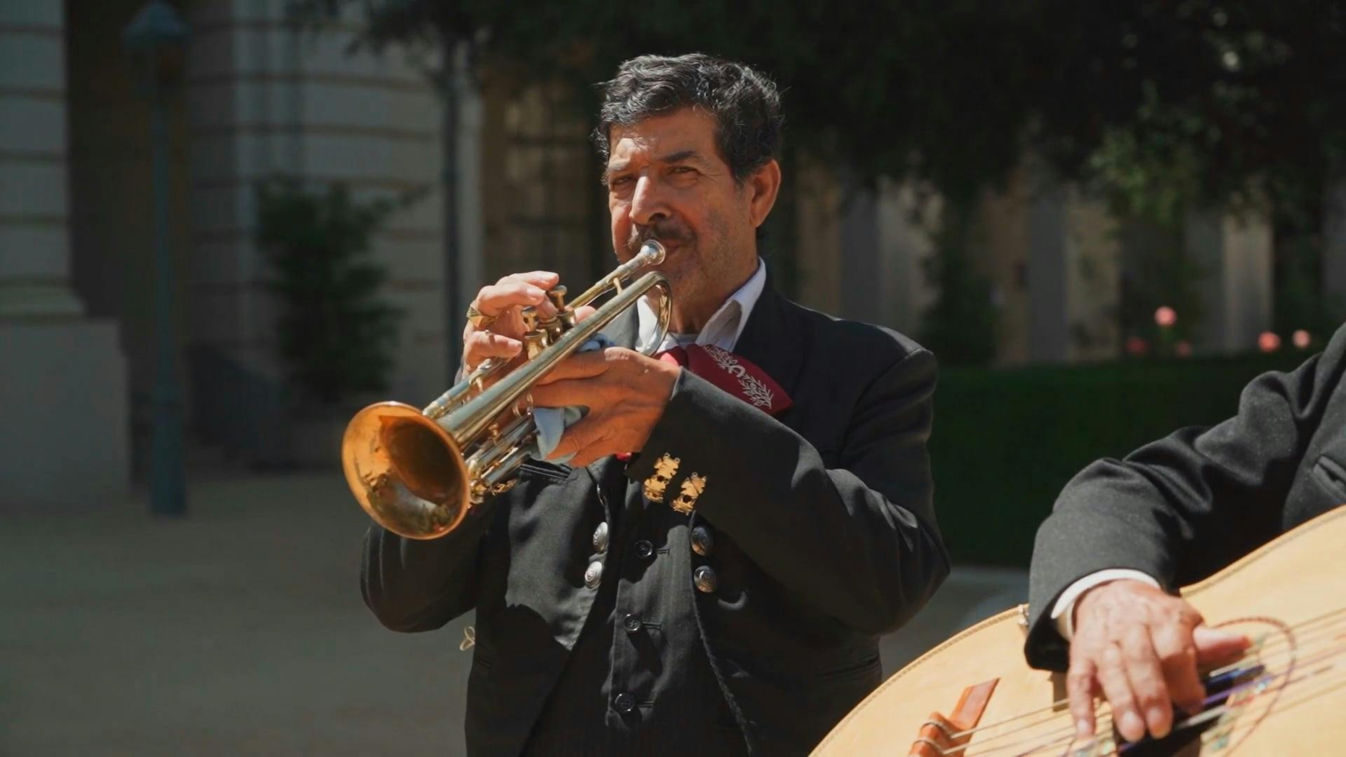 A Men Playing Instrument · Free Stock Video