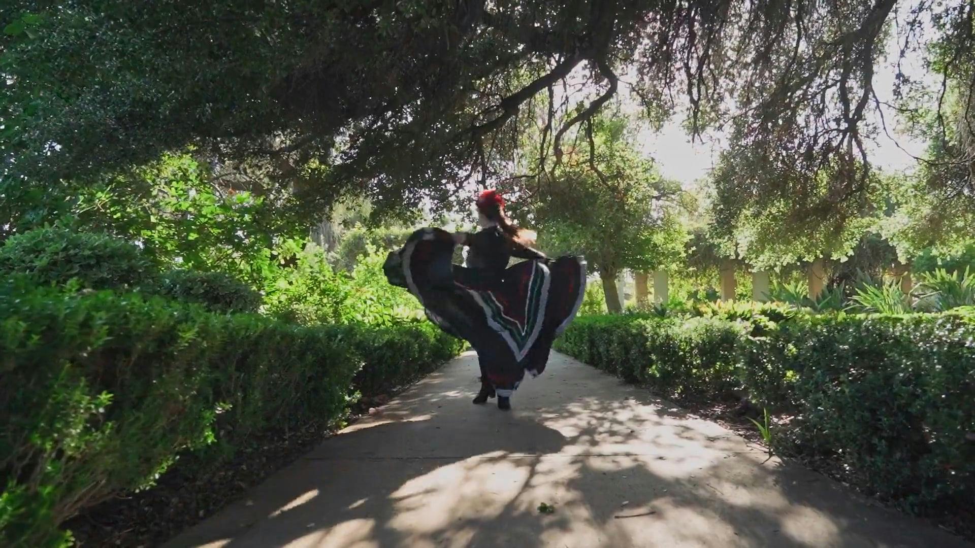 Balletic Poses Videos, Download The BEST Free 4k Stock Video Footage ...