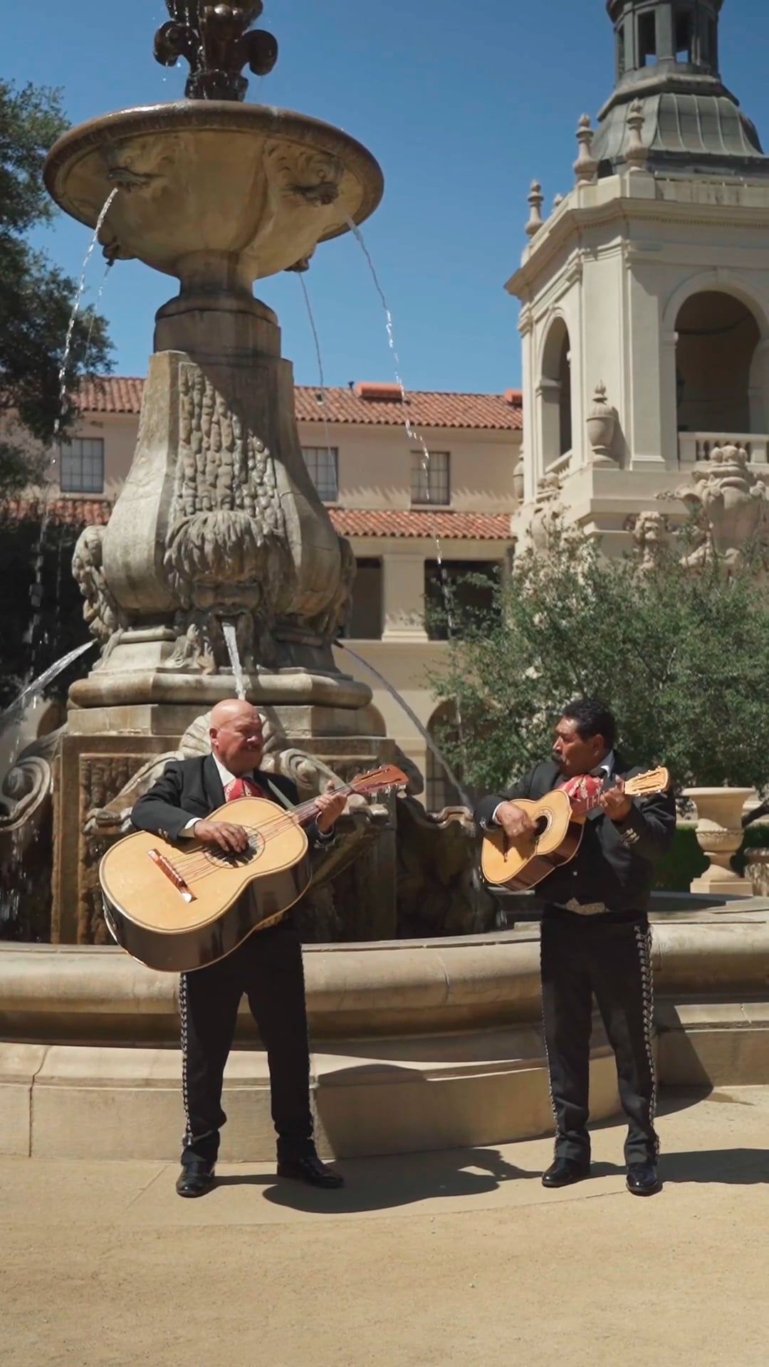 Musicians Playing Stringed Instruments in a Public Place Free Stock ...