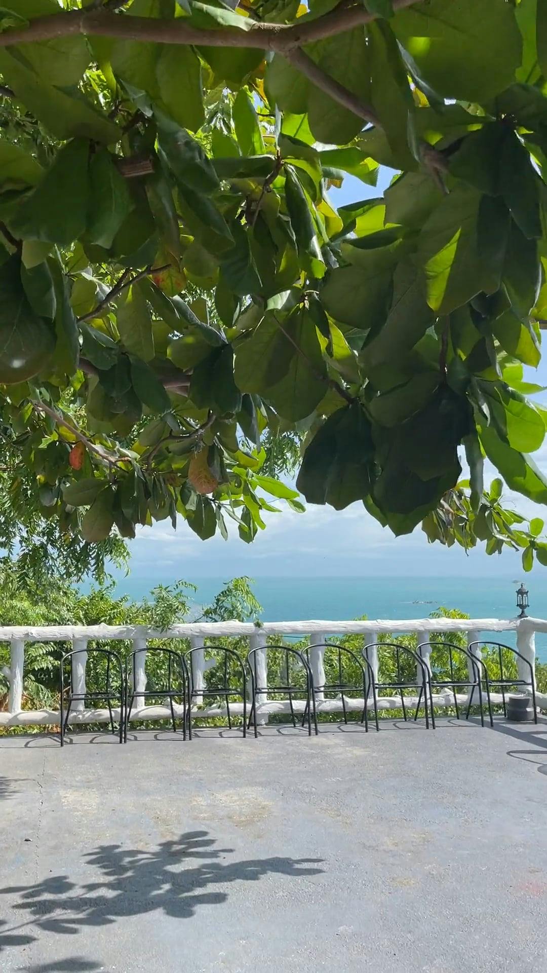 Dudka Bar Videos, Download The BEST Free 4k Stock Video Footage & Dudka ...