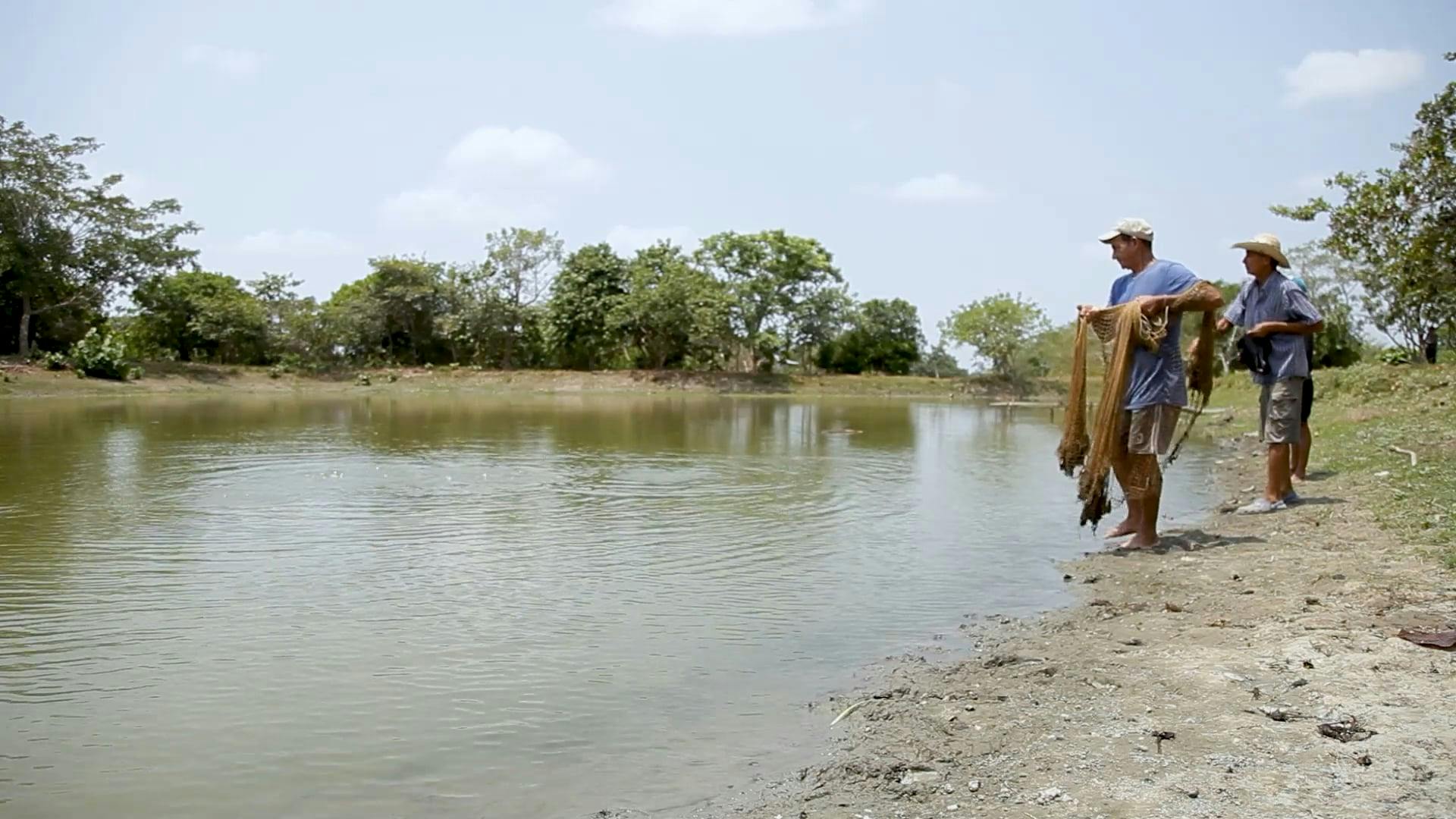 Catching Fish Videos, Download The BEST Free 4k Stock Video Footage ...