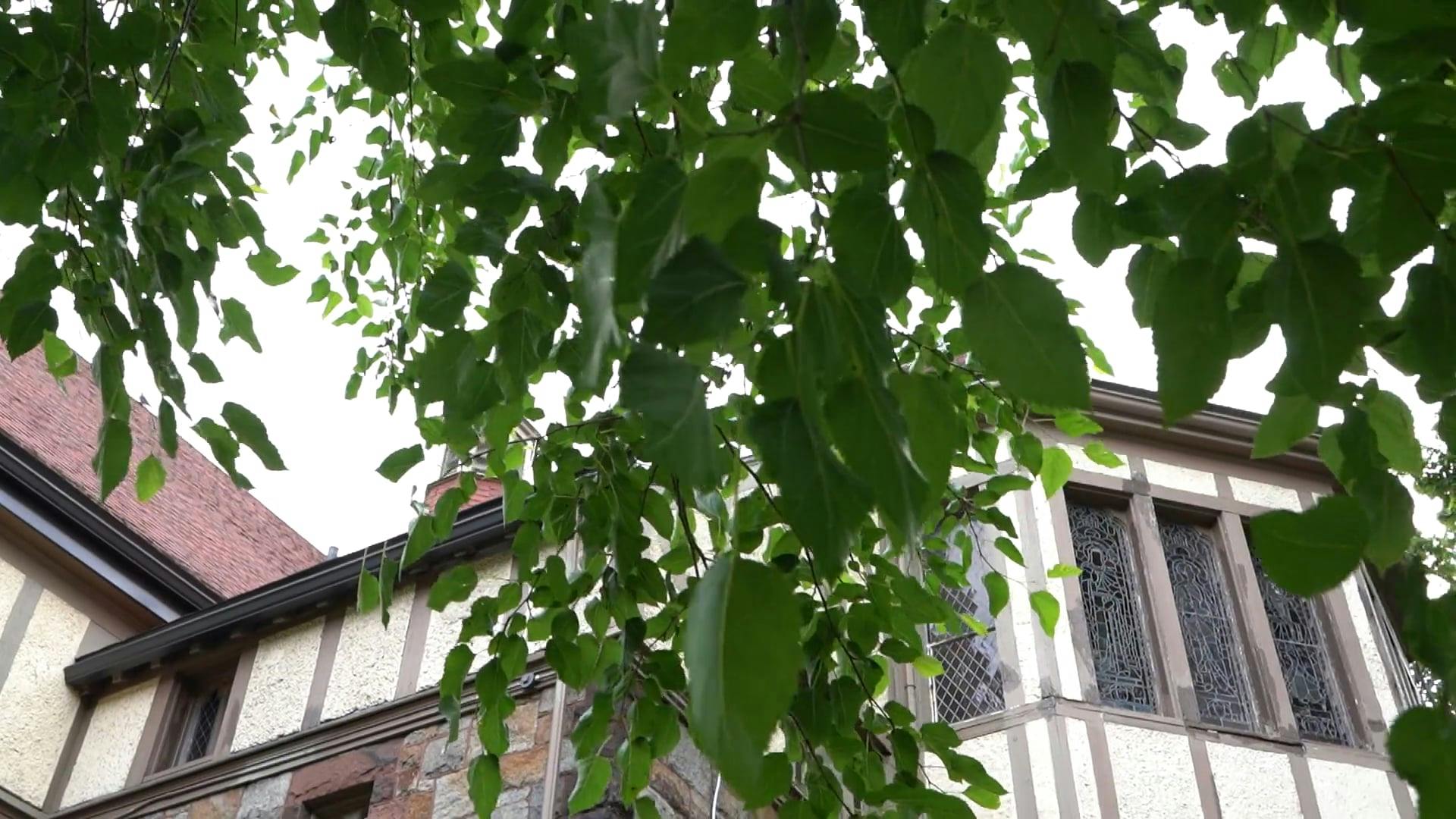 Low Angle View of a Church Under the Tree Free Stock Video Footage ...