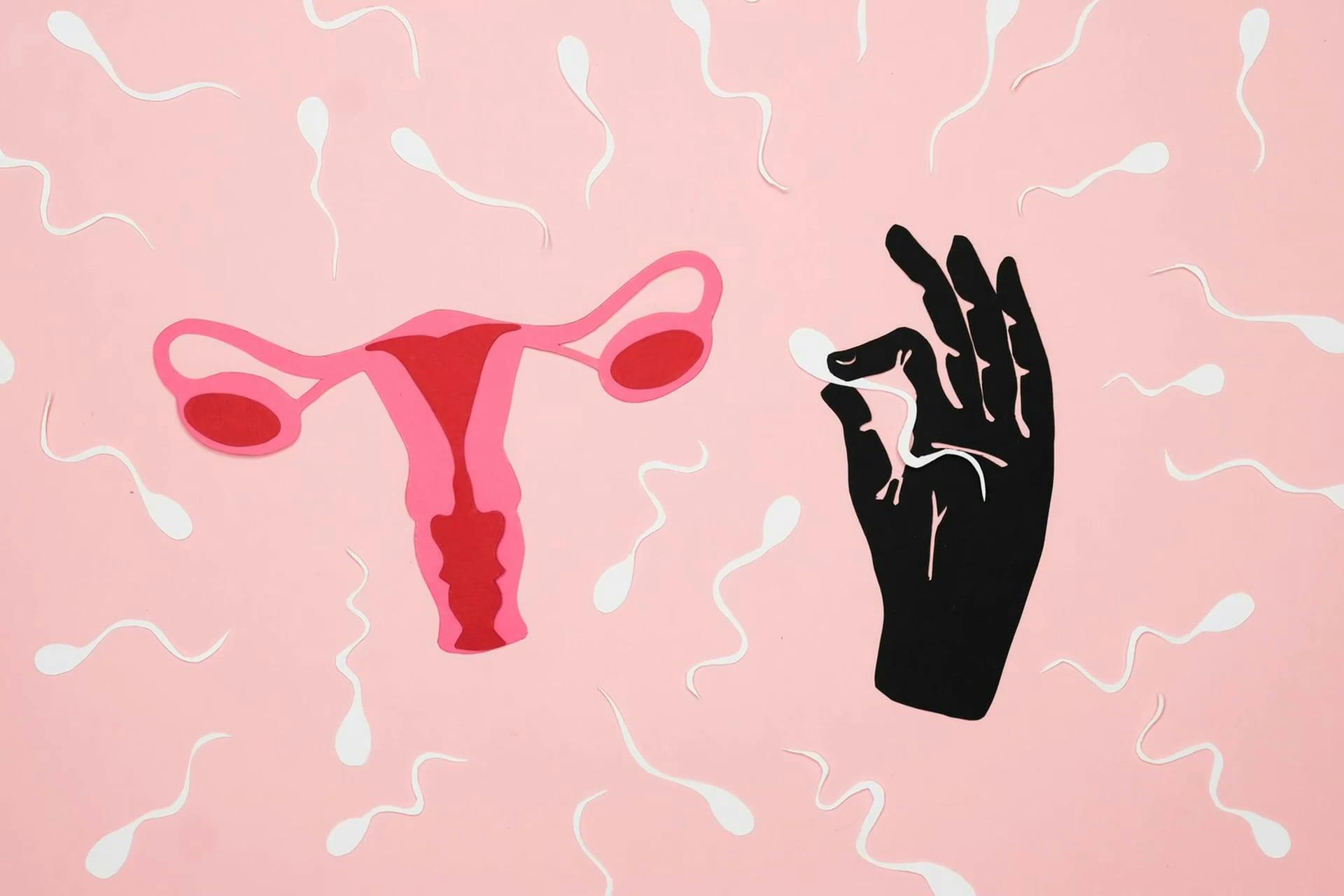 A Stop Motion Video Free Stock Video Footage, Royalty-Free 4K & HD ...