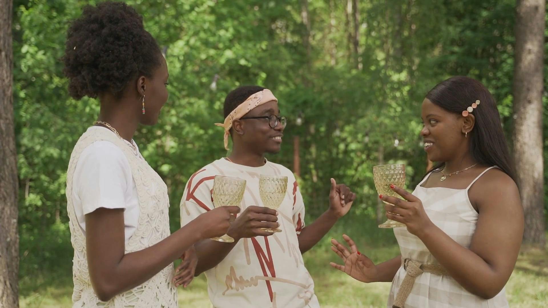 Friends Enjoying Each Other's Company Free Stock Video Footage, Royalty ...