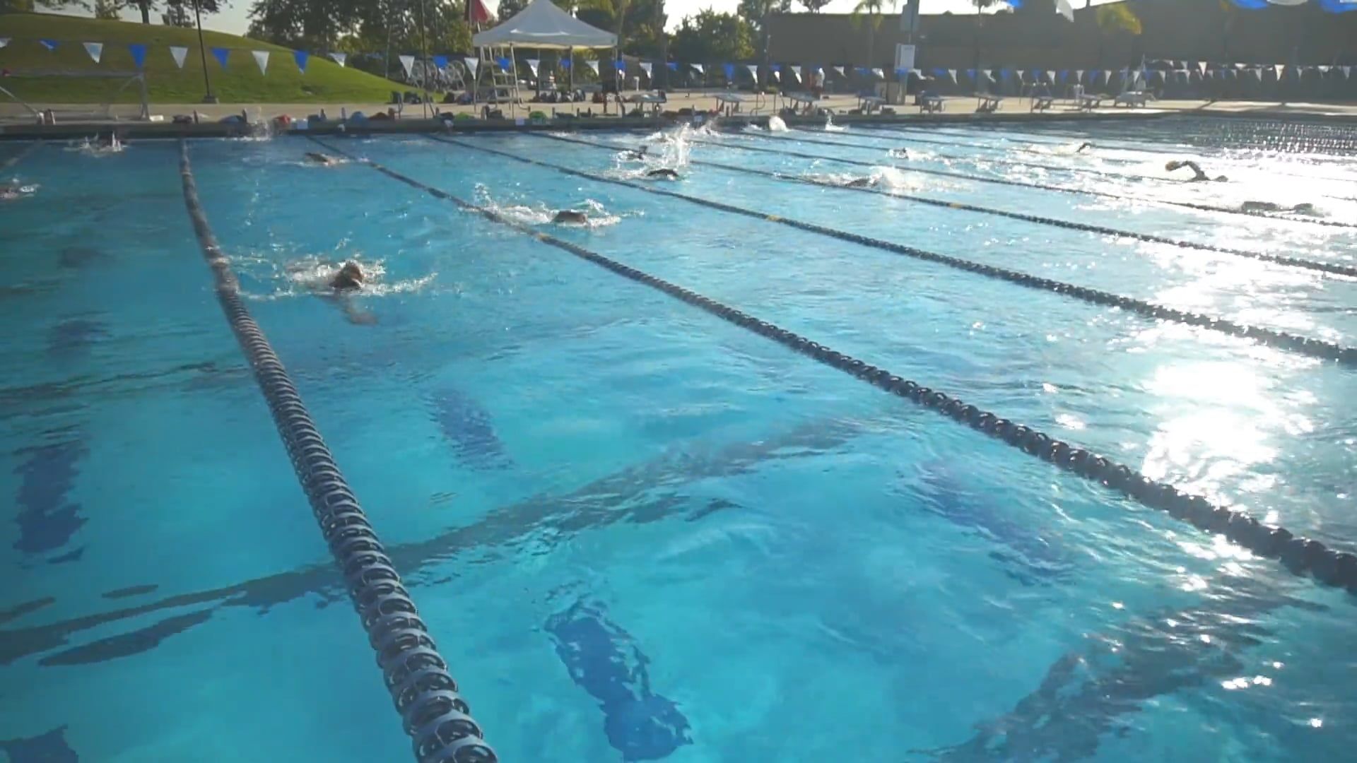 Swimmers Training in a Swimming Pool · Free Stock Video