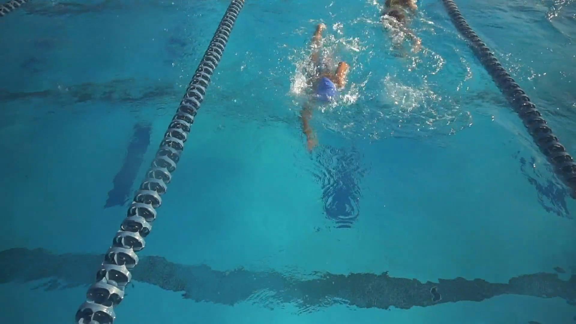 Swimmers Swimming in a Swimming Pool · Free Stock Video