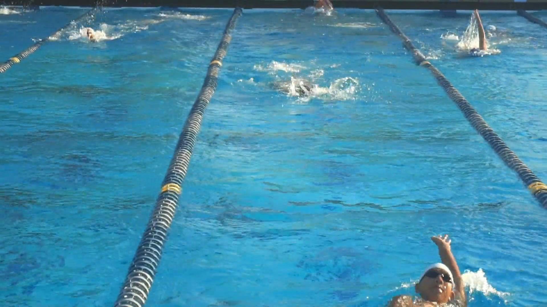 Swimmers Doing Backstroke · Free Stock Video