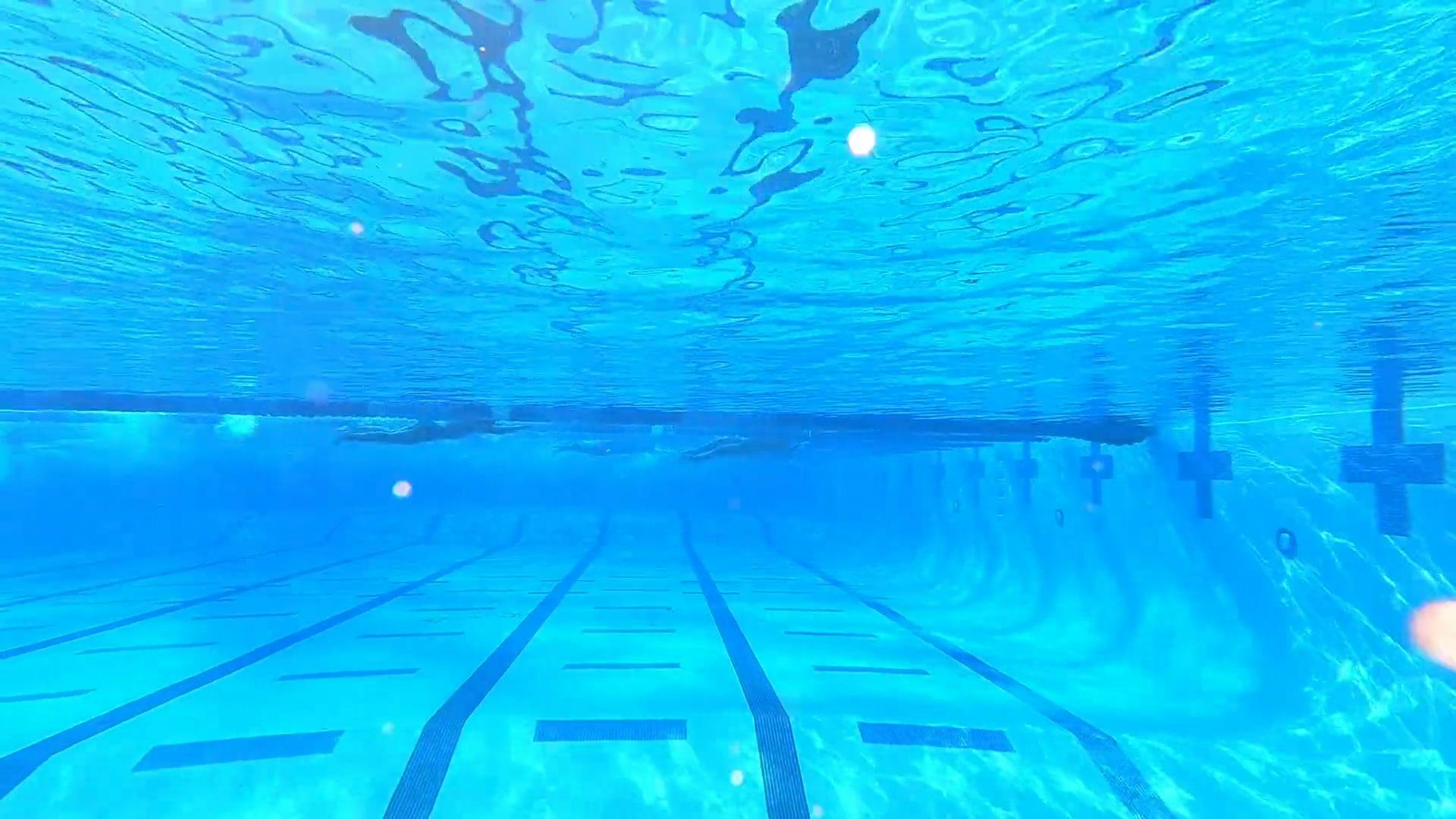Underwater Footage of People Swimming in a Pool Free Stock Video ...