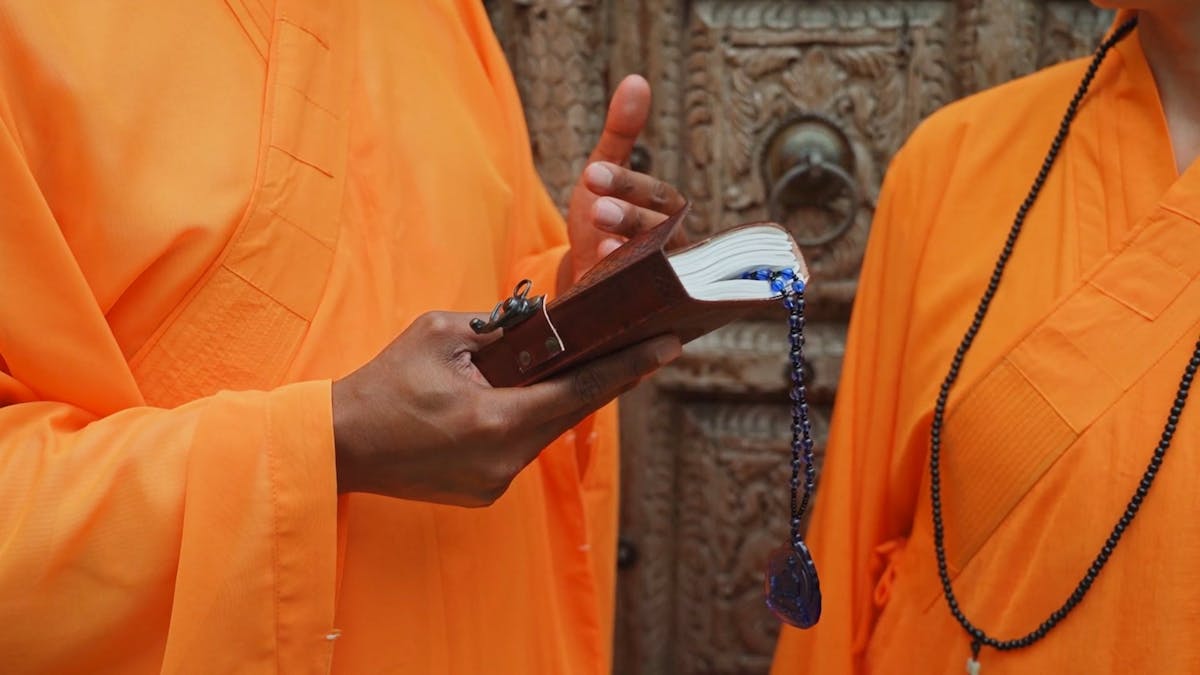 Shiuli Ful Videos, Download The BEST Free 4k Stock Video Footage ...