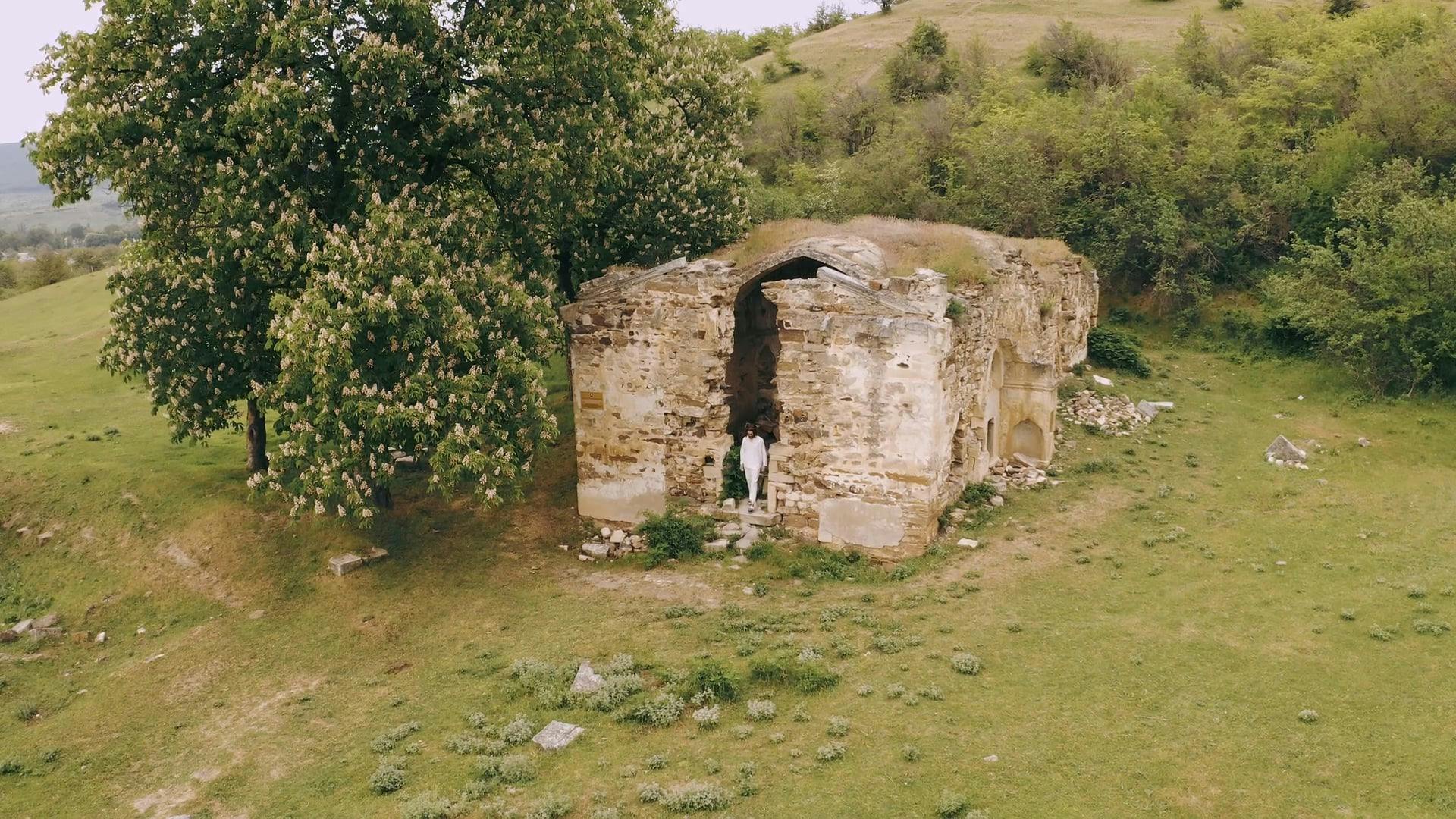 Overgrown Earth Videos, Download The BEST Free 4k Stock Video Footage ...