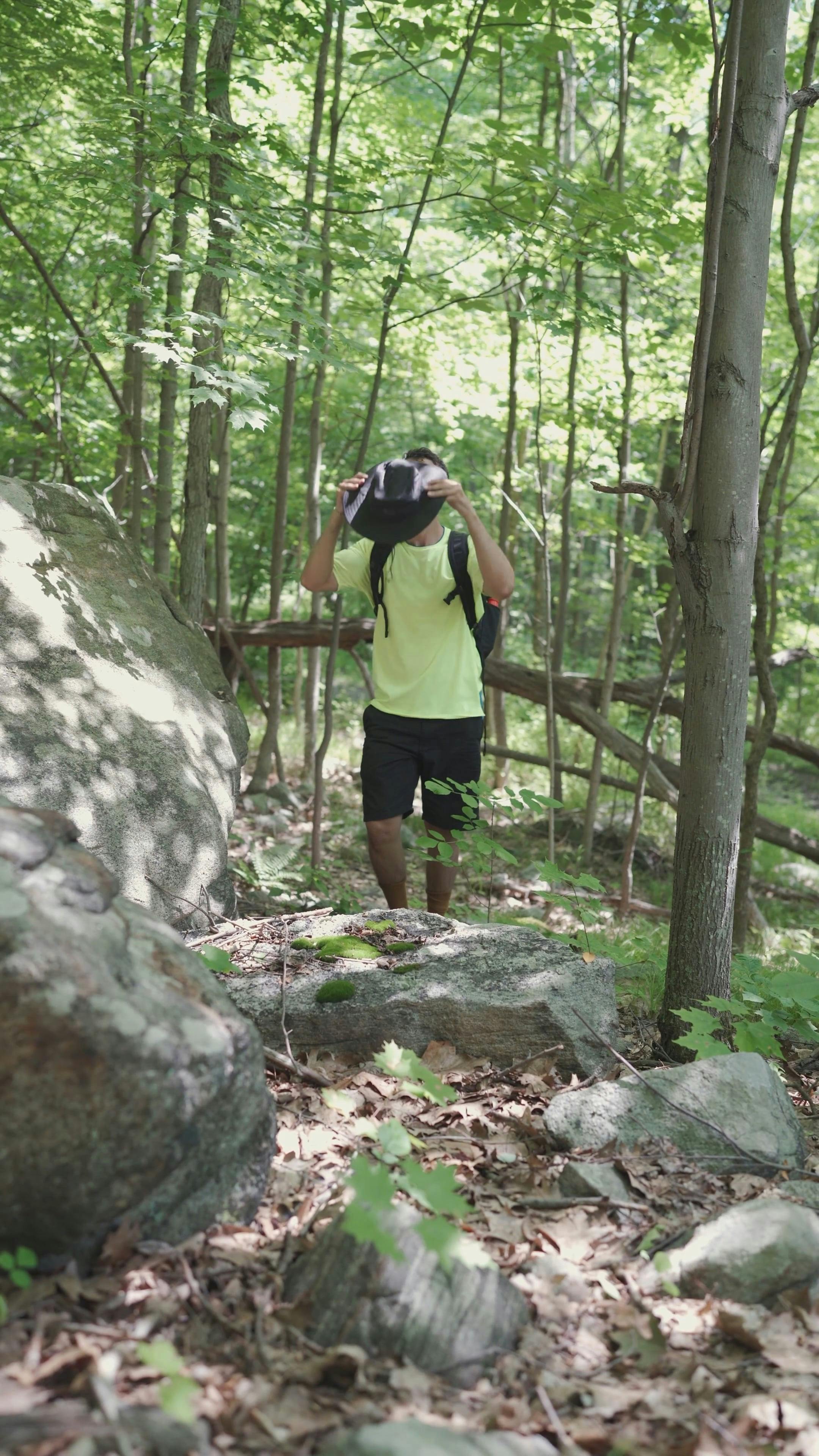 Backpackers on a Trail in the Middle of the Forest Free Stock Video ...