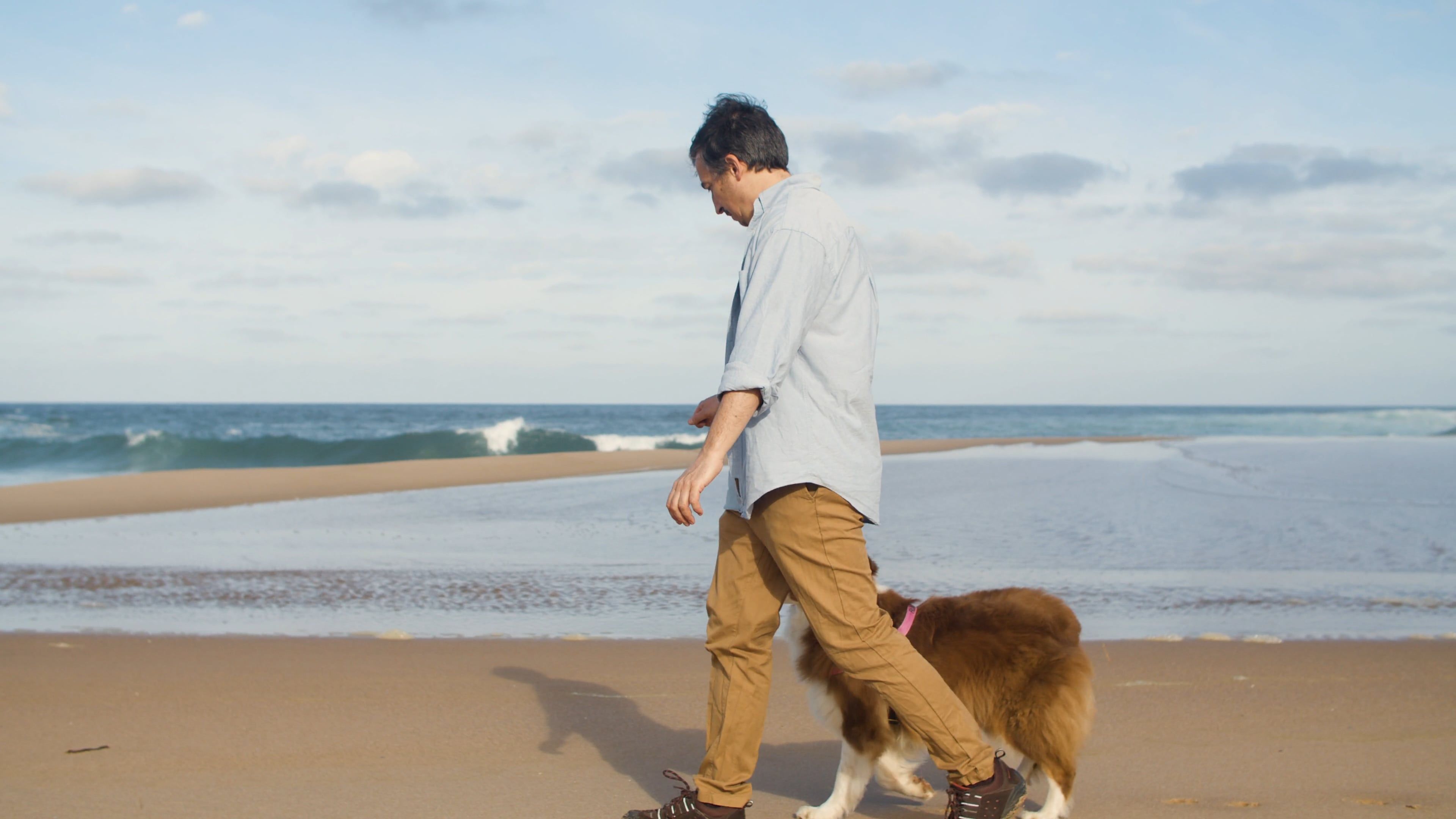 Dog Following a Man On a Beach Free Stock Video Footage, Royalty-Free ...
