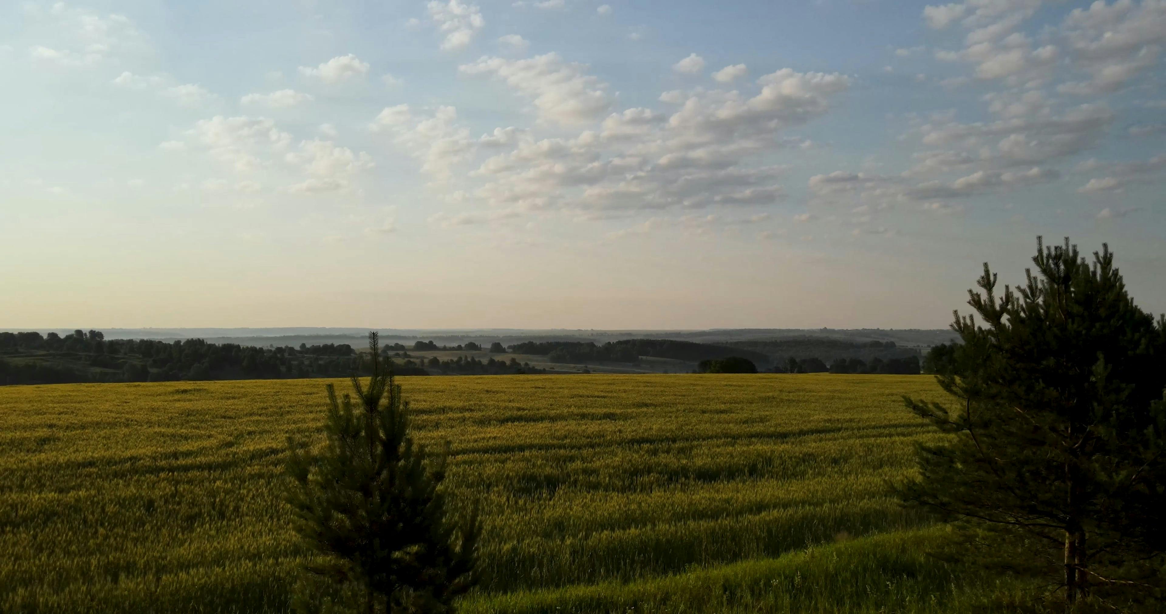 Ground Level Shot of Grass Field Free Stock Video Footage, Royalty-Free ...