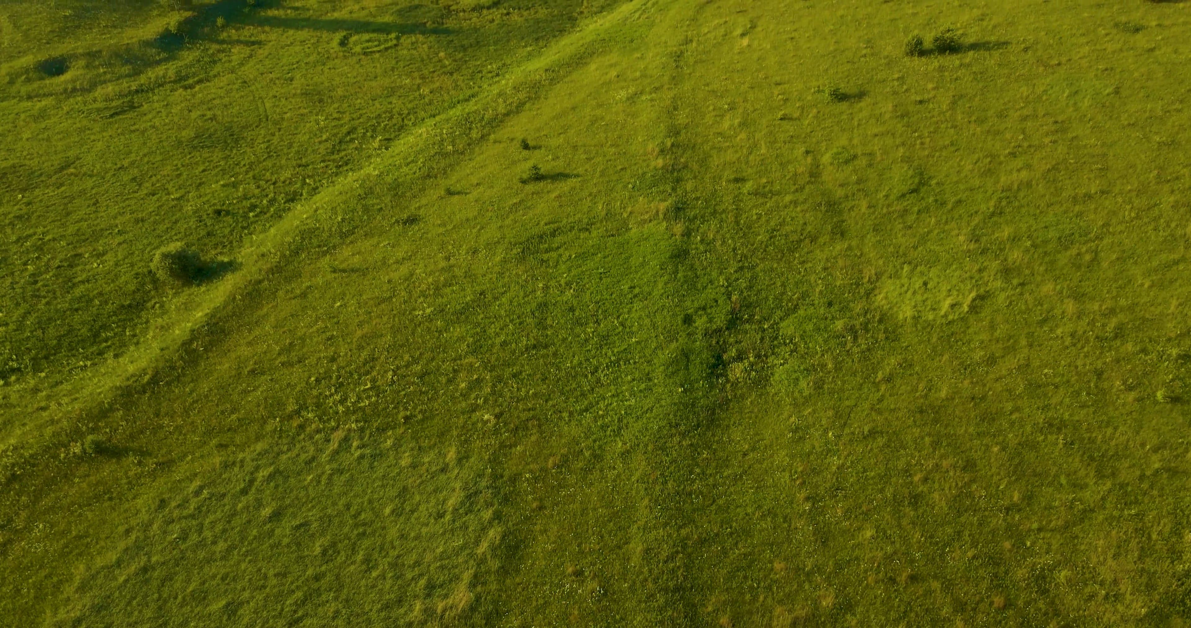 A Drone Footage of a Field With Trees Free Stock Video Footage, Royalty ...