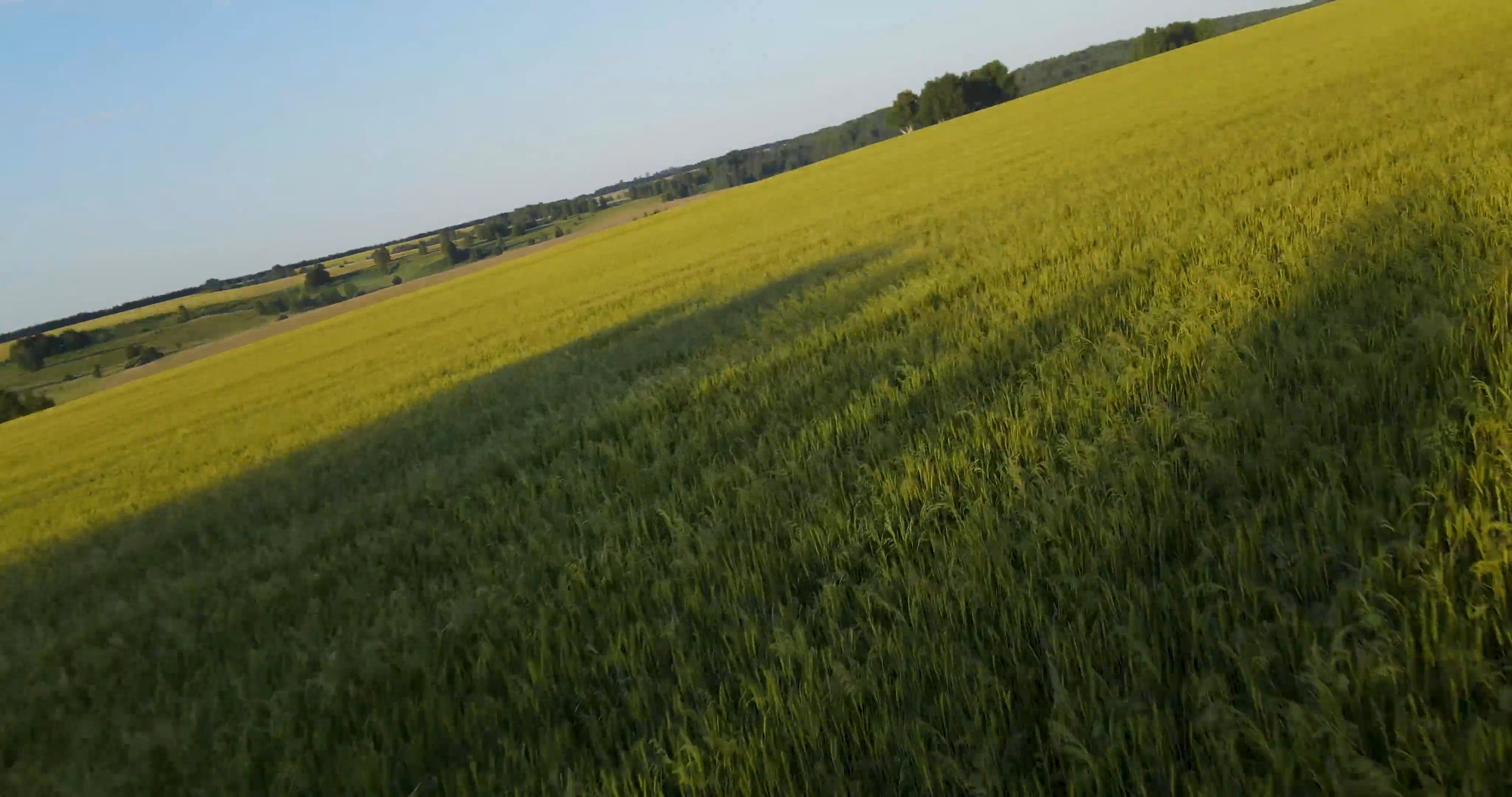 Drone Flying Above a Grass Field Free Stock Video Footage, Royalty-Free ...
