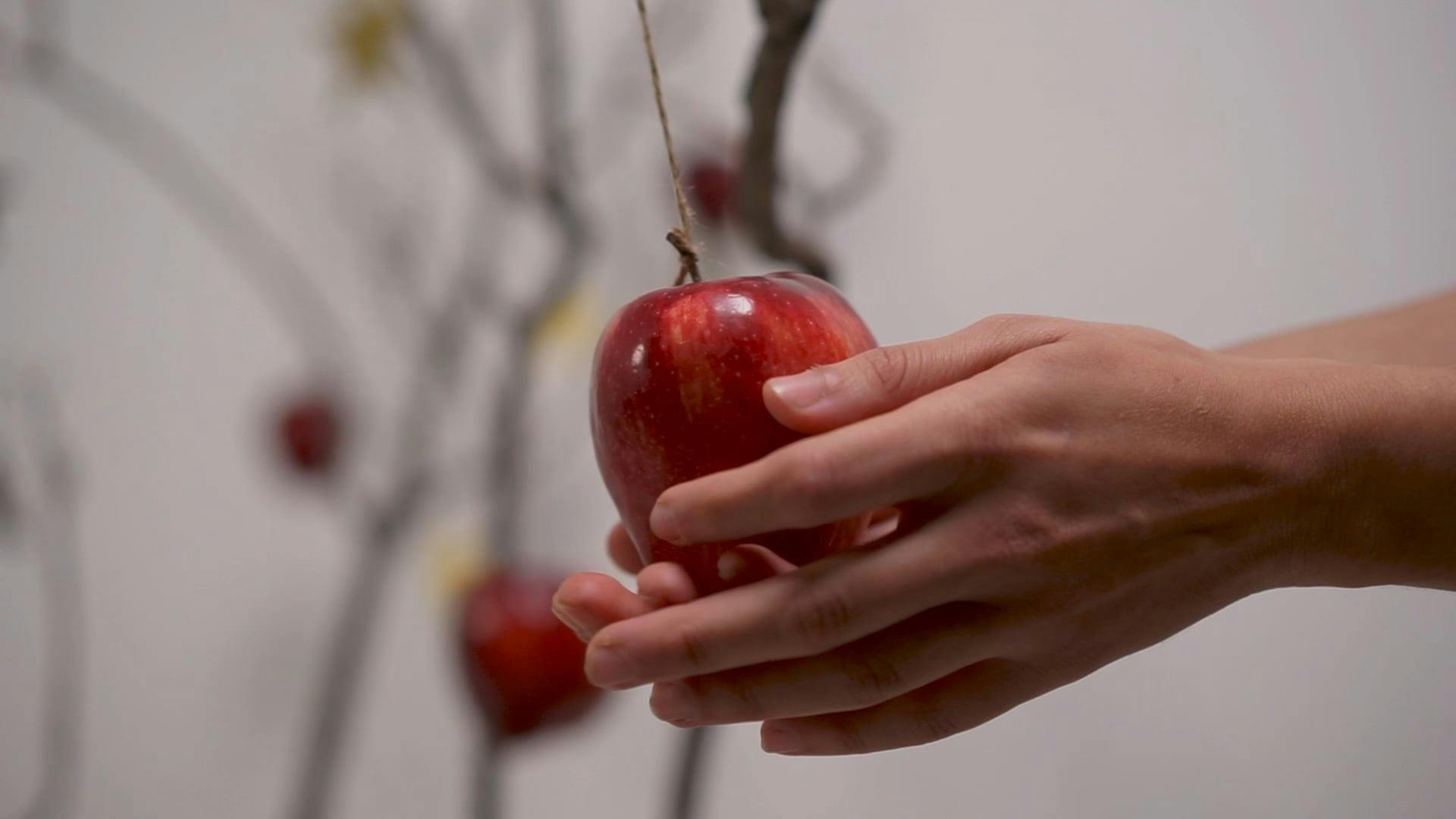Close up of a Hand Touching an Apple Free Stock Video Footage, Royalty ...