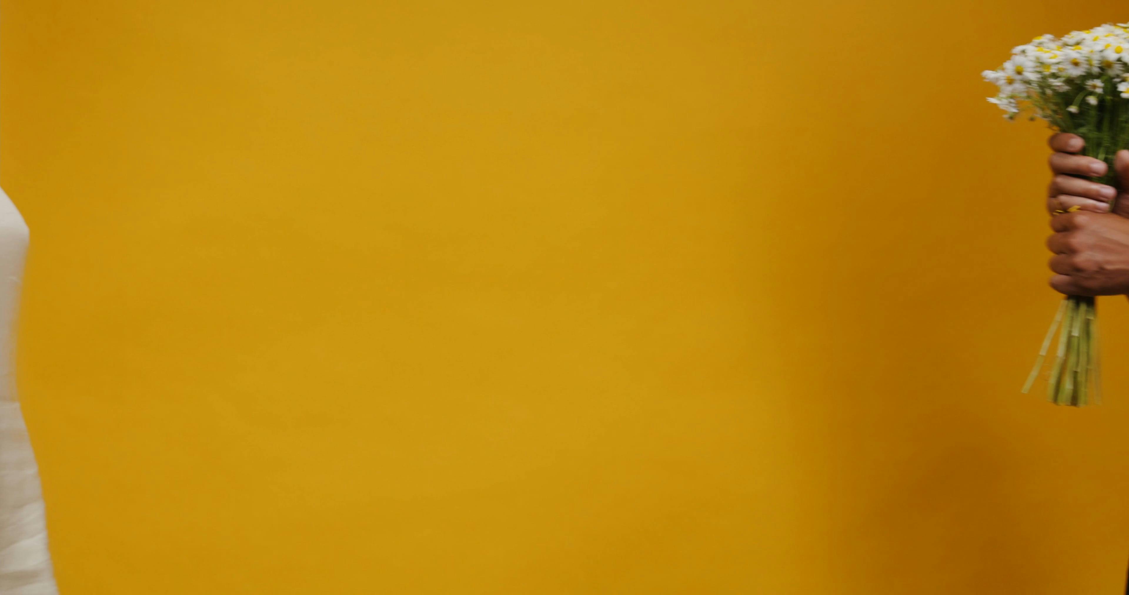 Vídeo profissional gratuito de afeto, alegre, amarelo, amor, animado ...