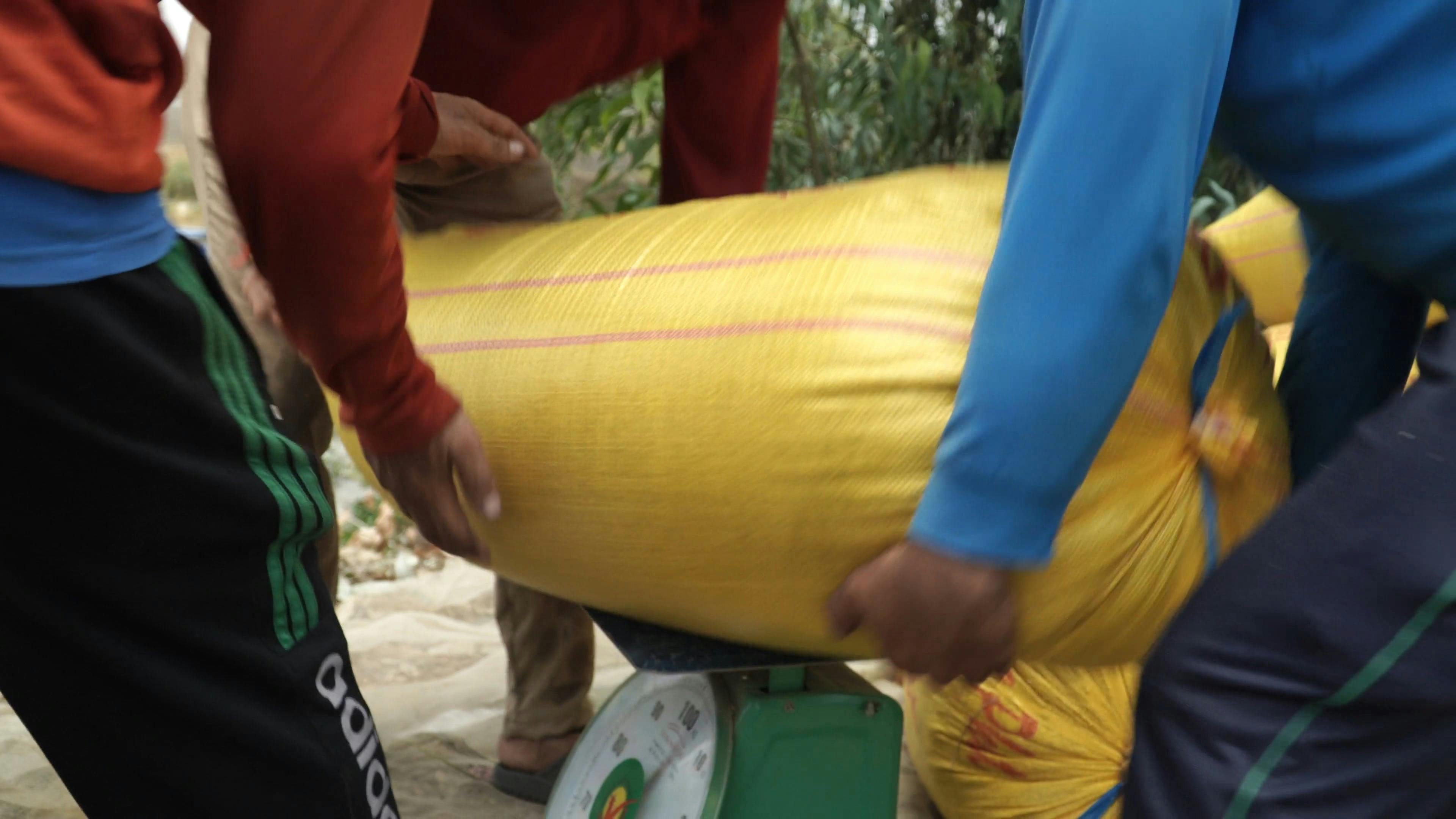 Men Carrying Heavy Bag Free Stock Video Footage, Royalty-Free 4K & HD ...