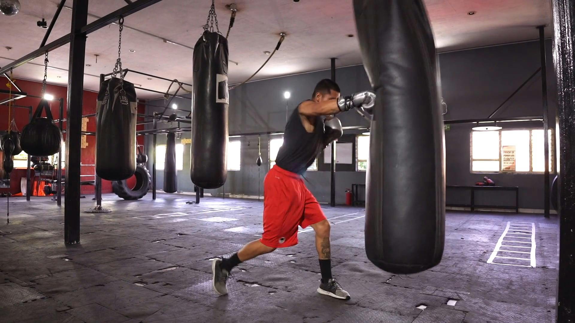 A Boxer Working Out Free Stock Video Footage, Royalty-Free 4K & HD ...